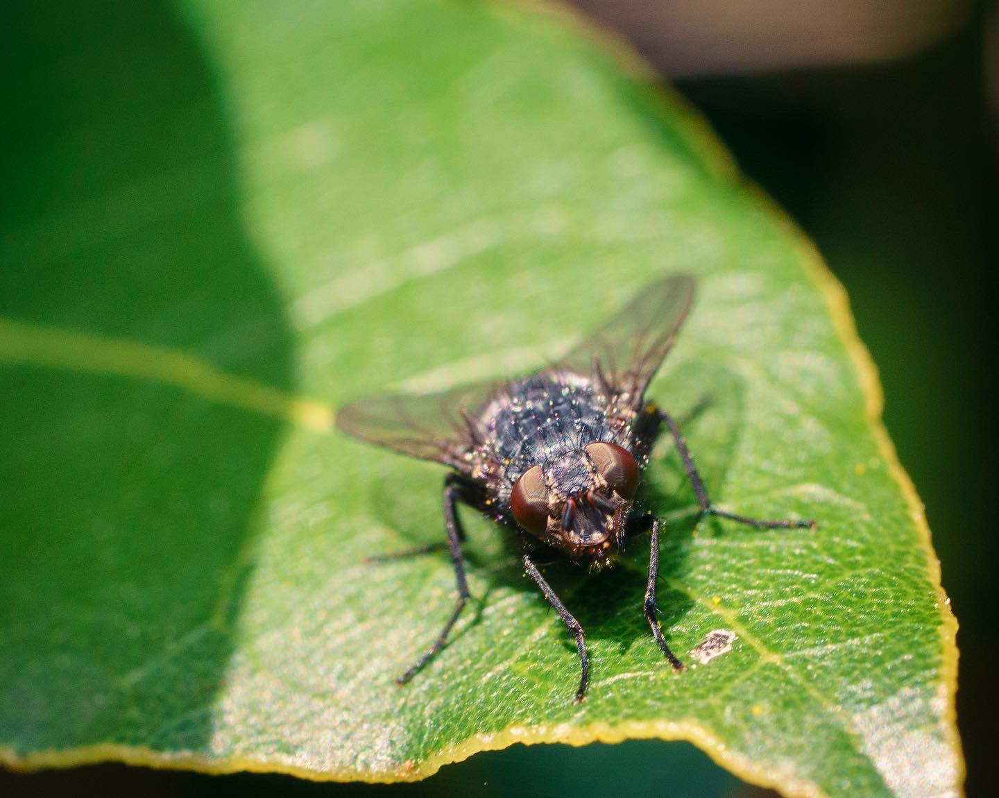 Beginner attempt | Scrolller