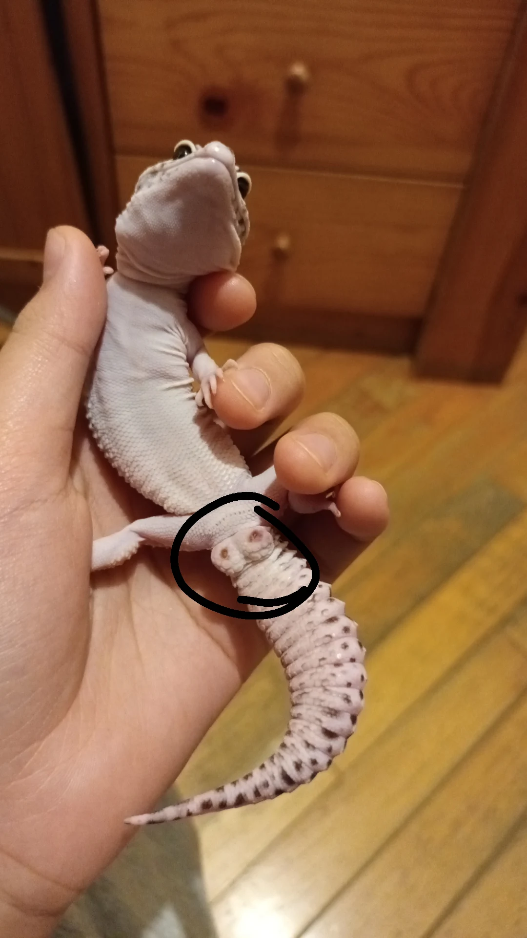 Are these black spots normal? | Scrolller