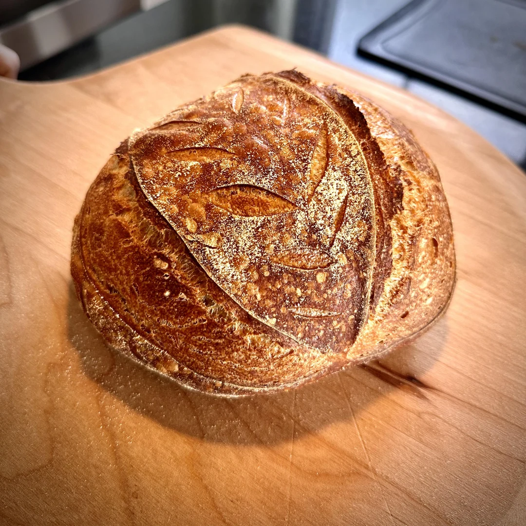 Practicing score and decorating | Scrolller