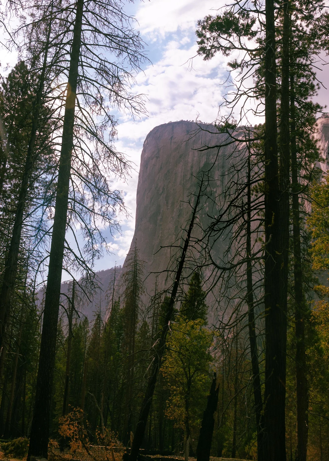 El Capitan standing over the smoke. Yosemite, CA [OC] [2000x2800] | Scrolller