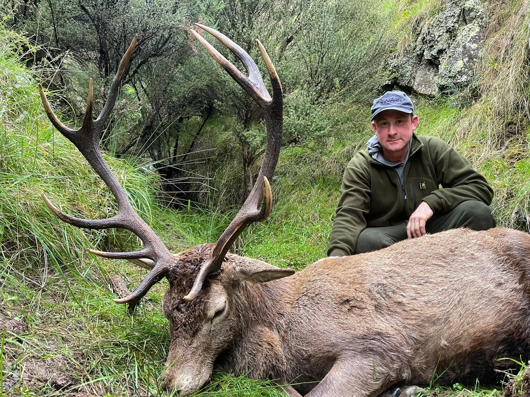 Another nice red stag for the season 👍 | Scrolller