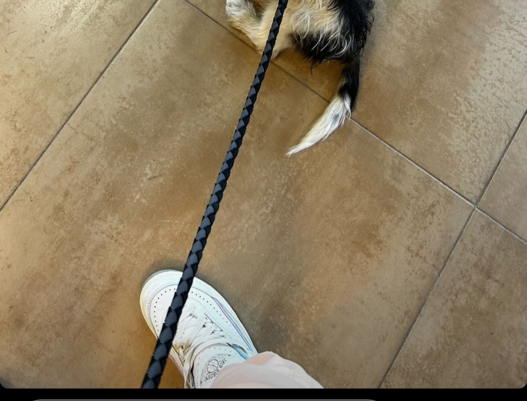 Help identifying a shoe! | Scrolller