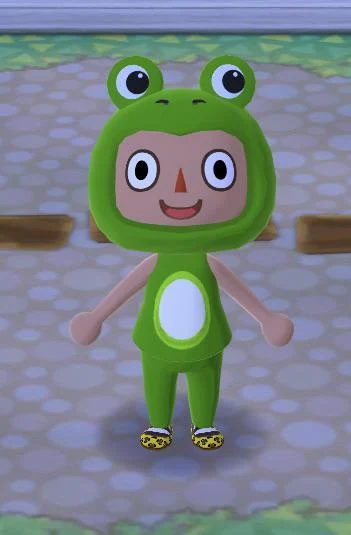 Finally Got The Outfit Full Frog Costume Everybody | Scrolller