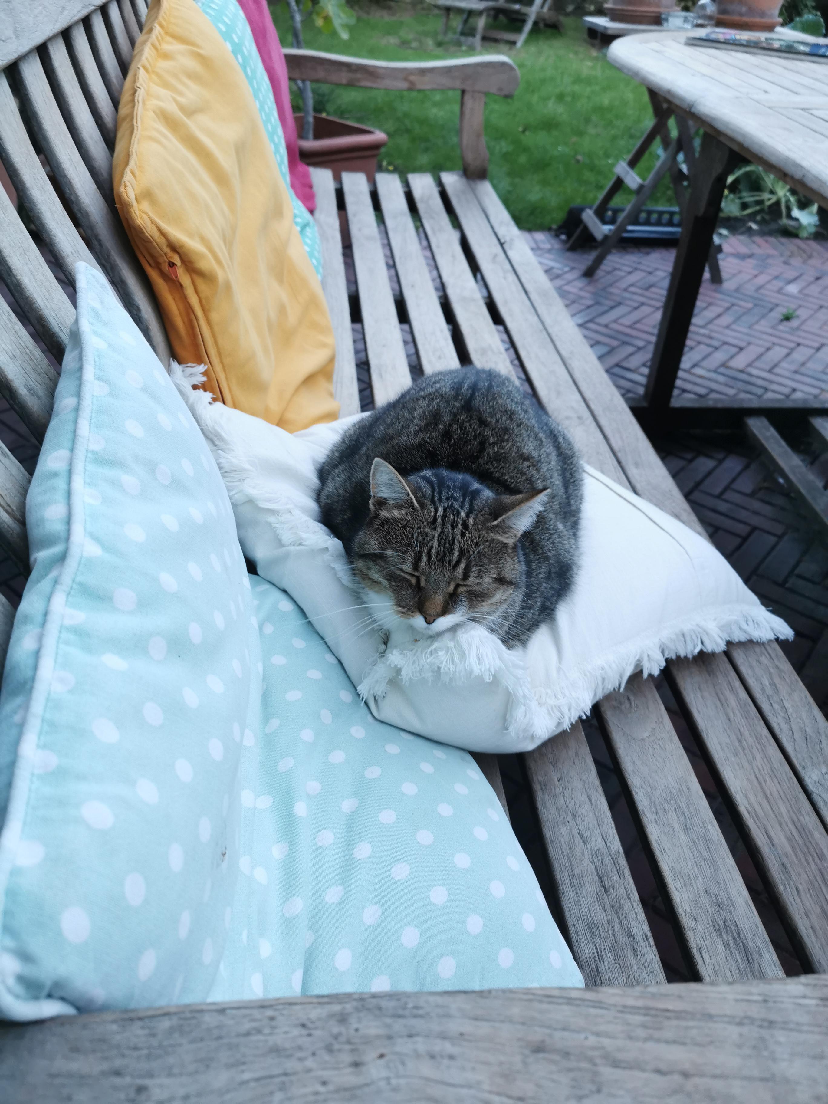 A precious little loaf | Scrolller