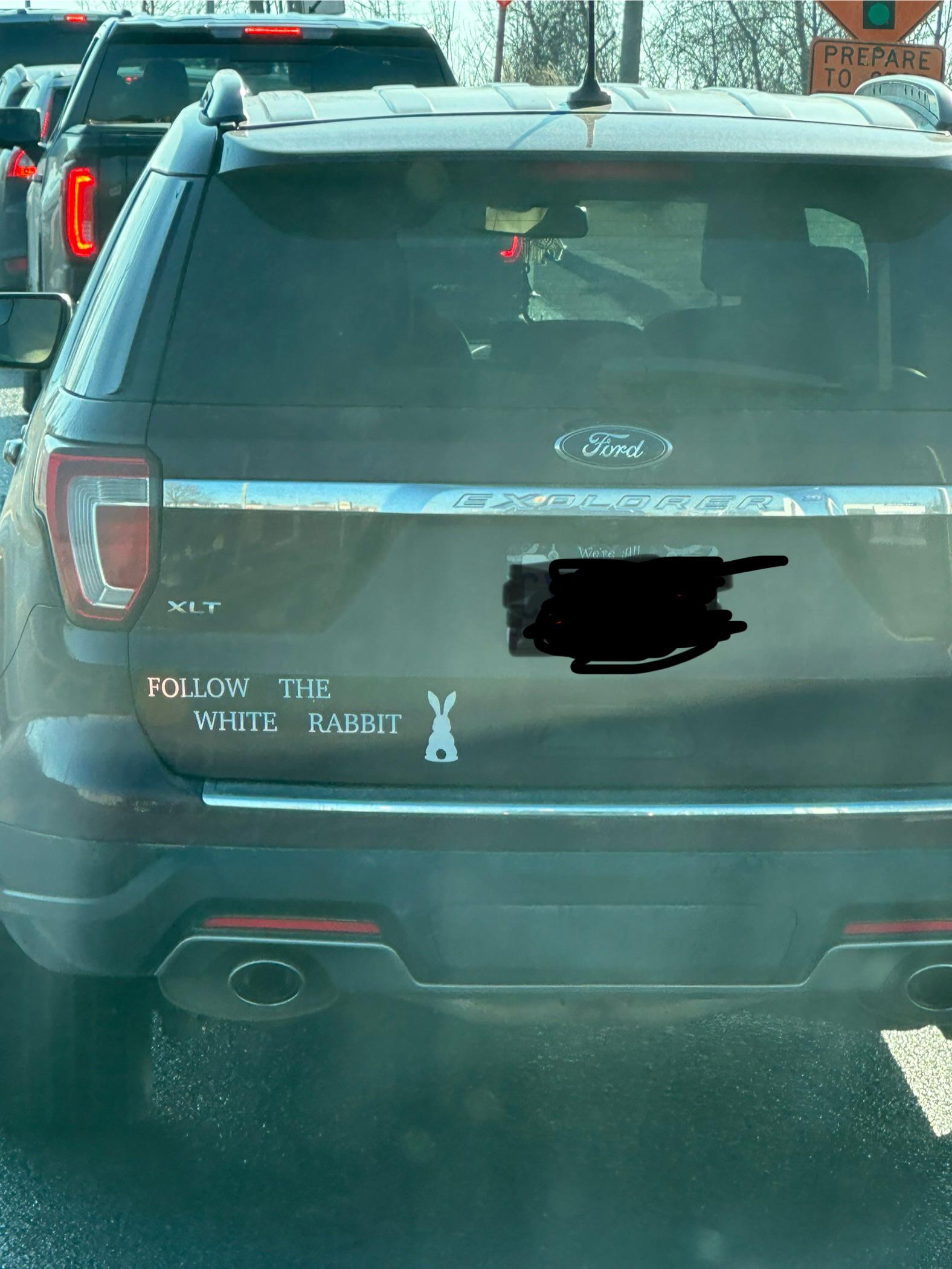 Follow the white rabbit. | Scrolller