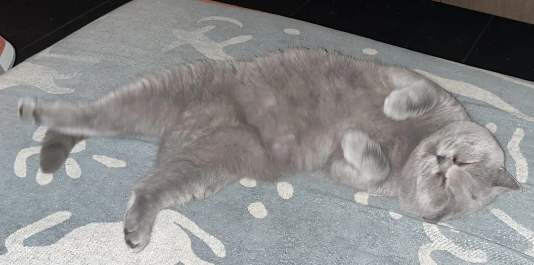 Our boy Billy | Scrolller