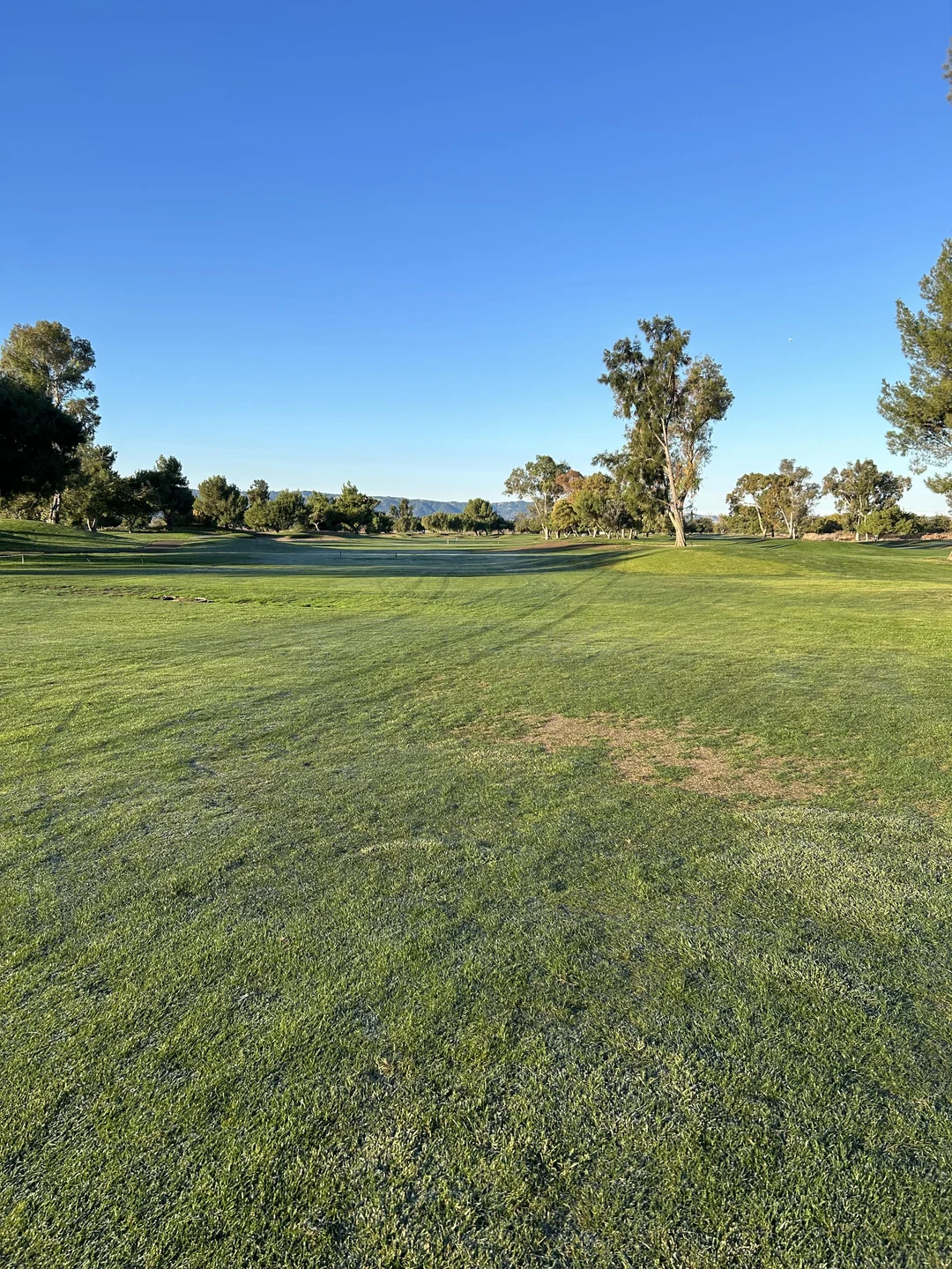 Fall golf entry | Scrolller