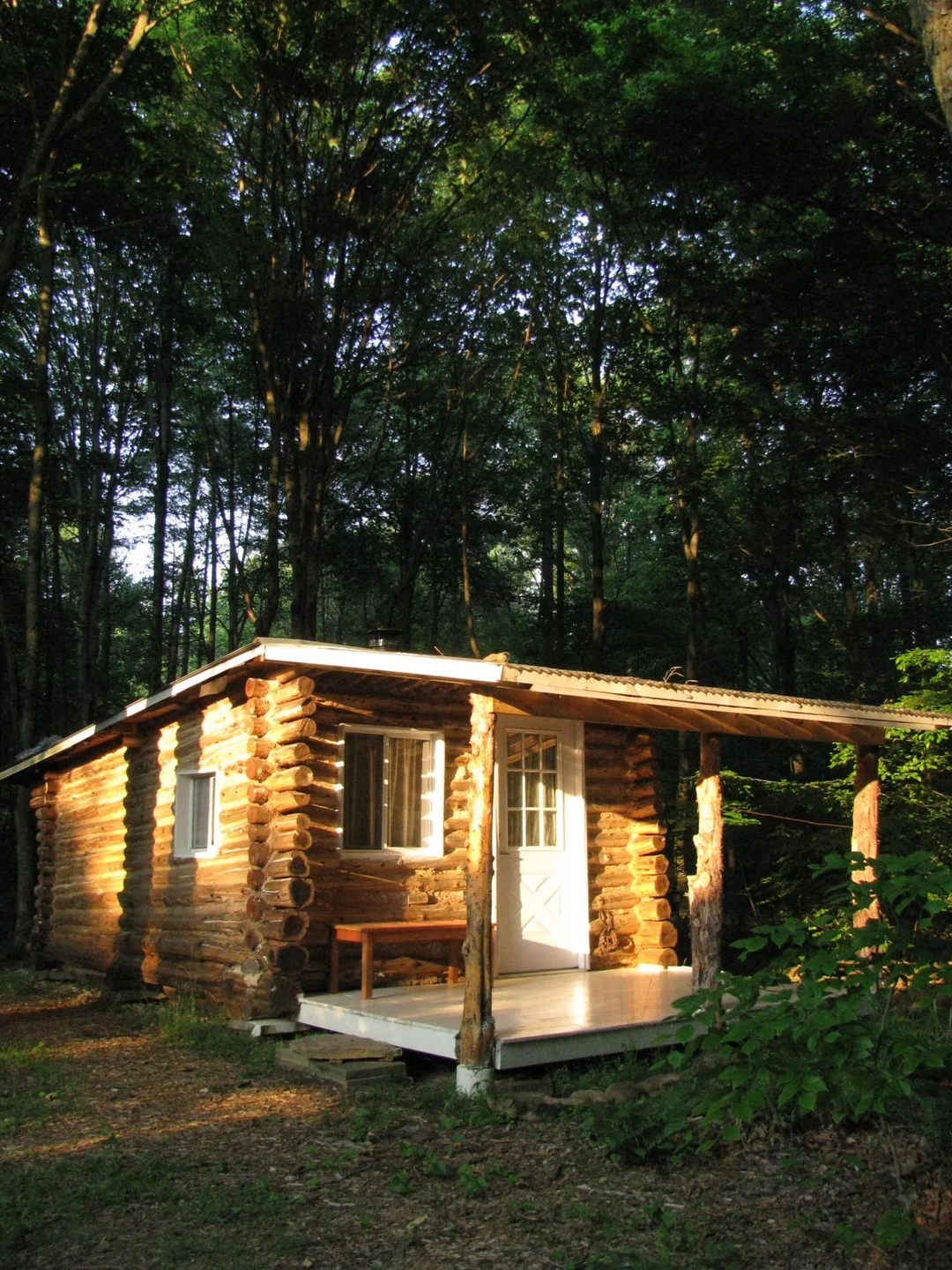 Cozy cabin we built in the forest. | Scrolller