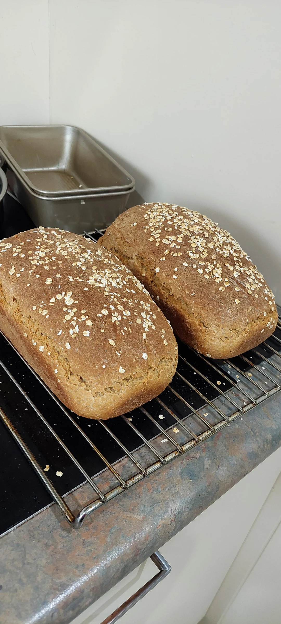 First Honey Oat Loaf | Scrolller
