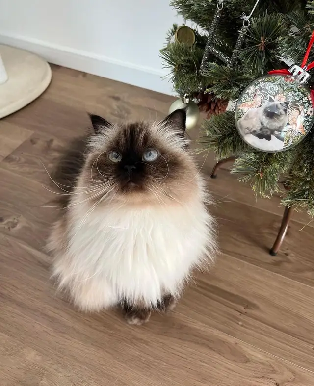 It’s almost that time again Chloe | Scrolller