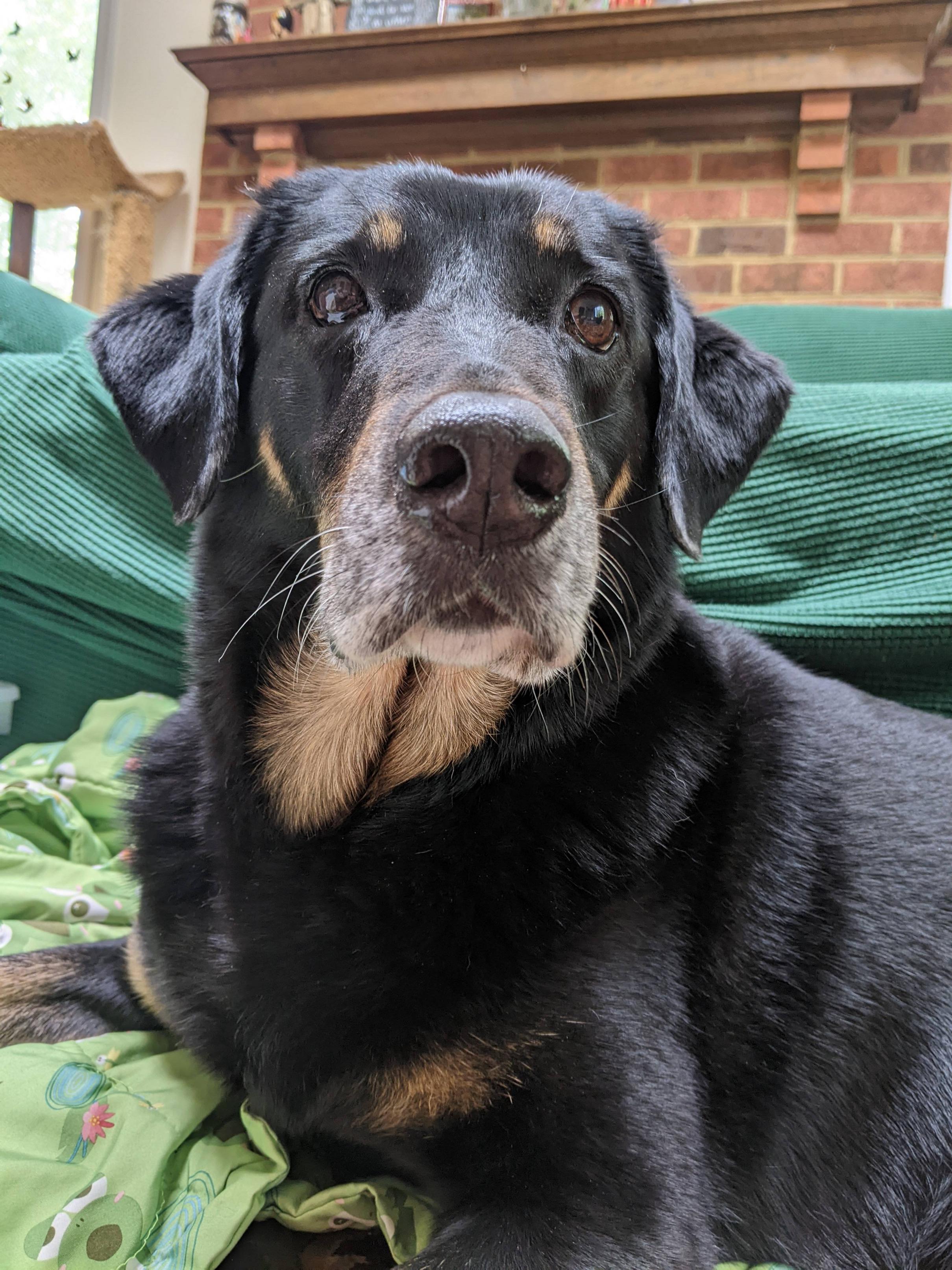 ...ball? | Scrolller