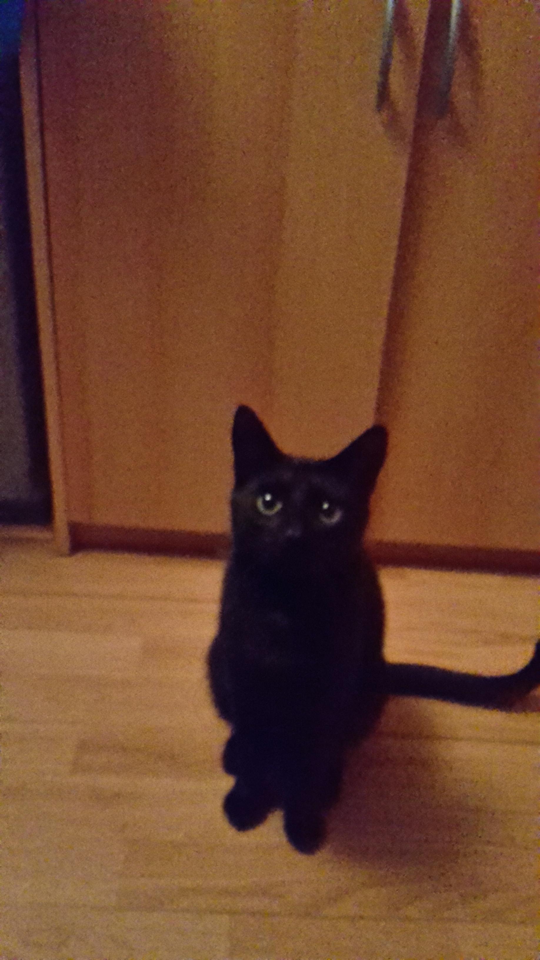 Does anyone else have a void that does not 'void' well in sunlight? Here is mine, normally pitch ...