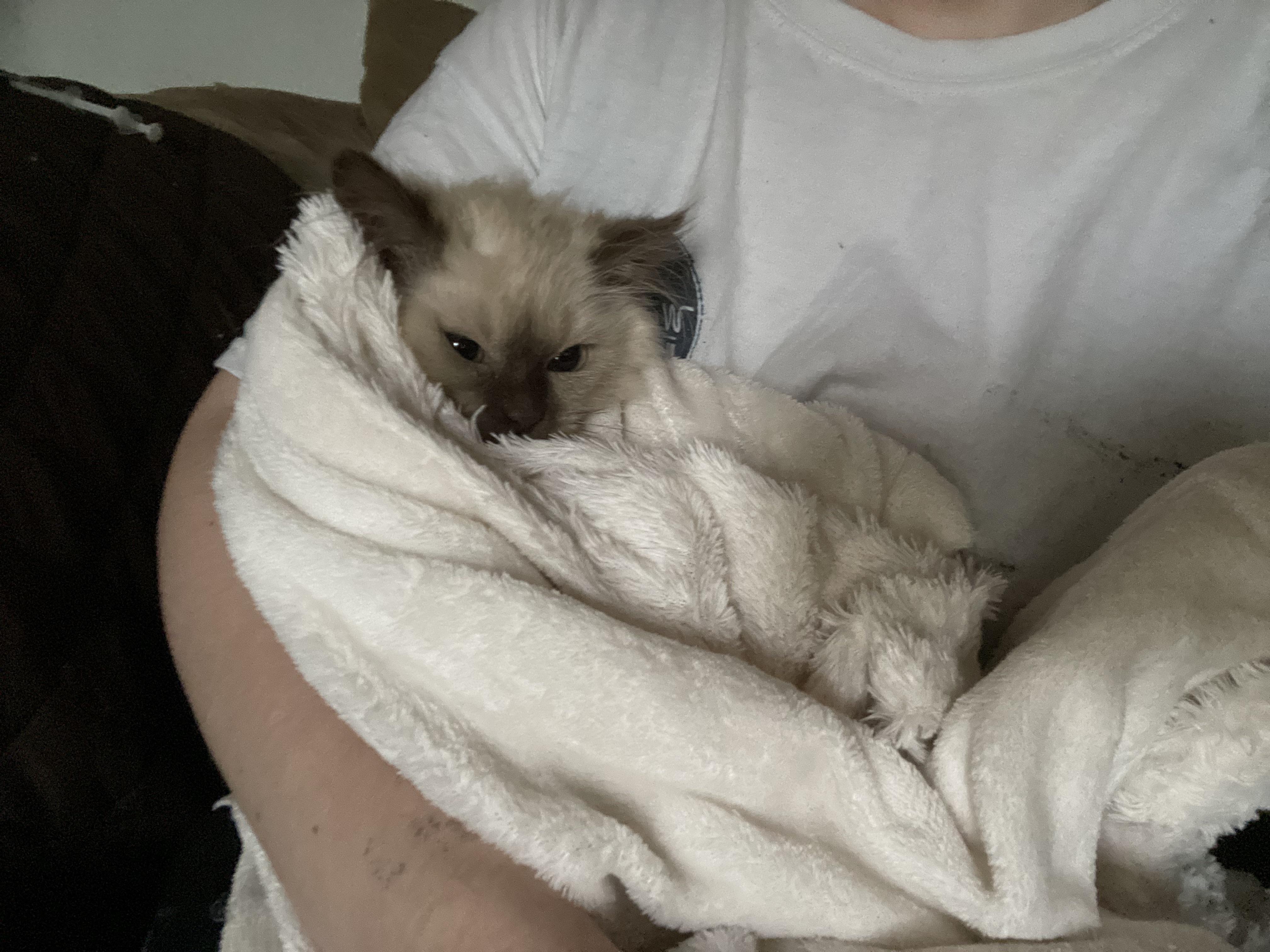 Discover more like Funny: Plotting her revenge and Related Content | Scrolller