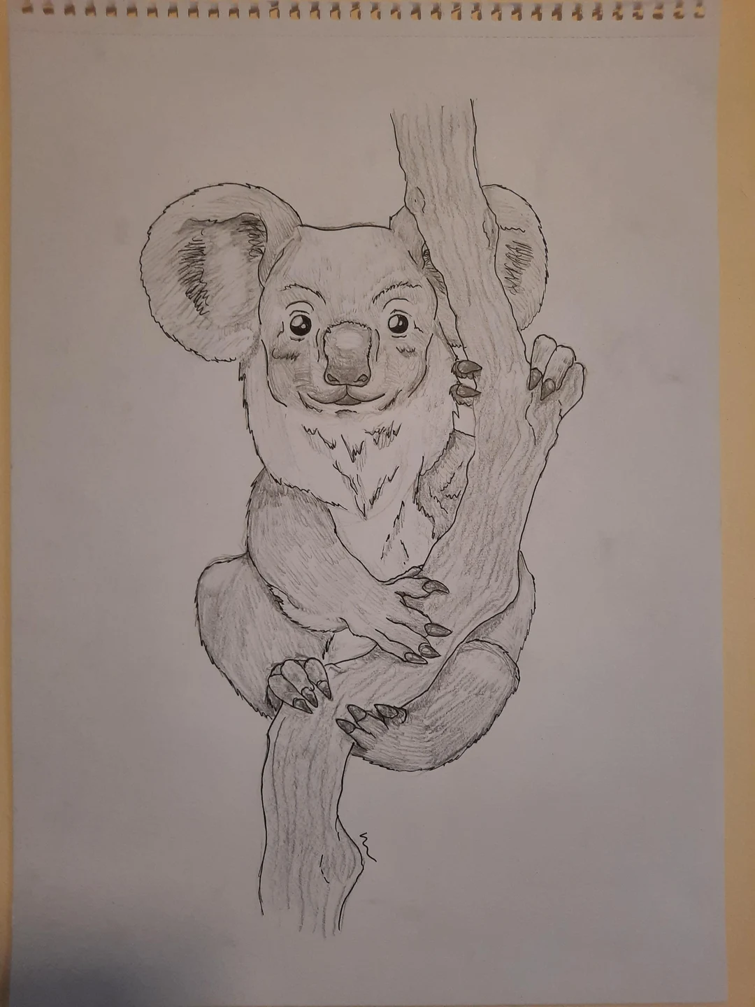 I drew this Koala today | Scrolller