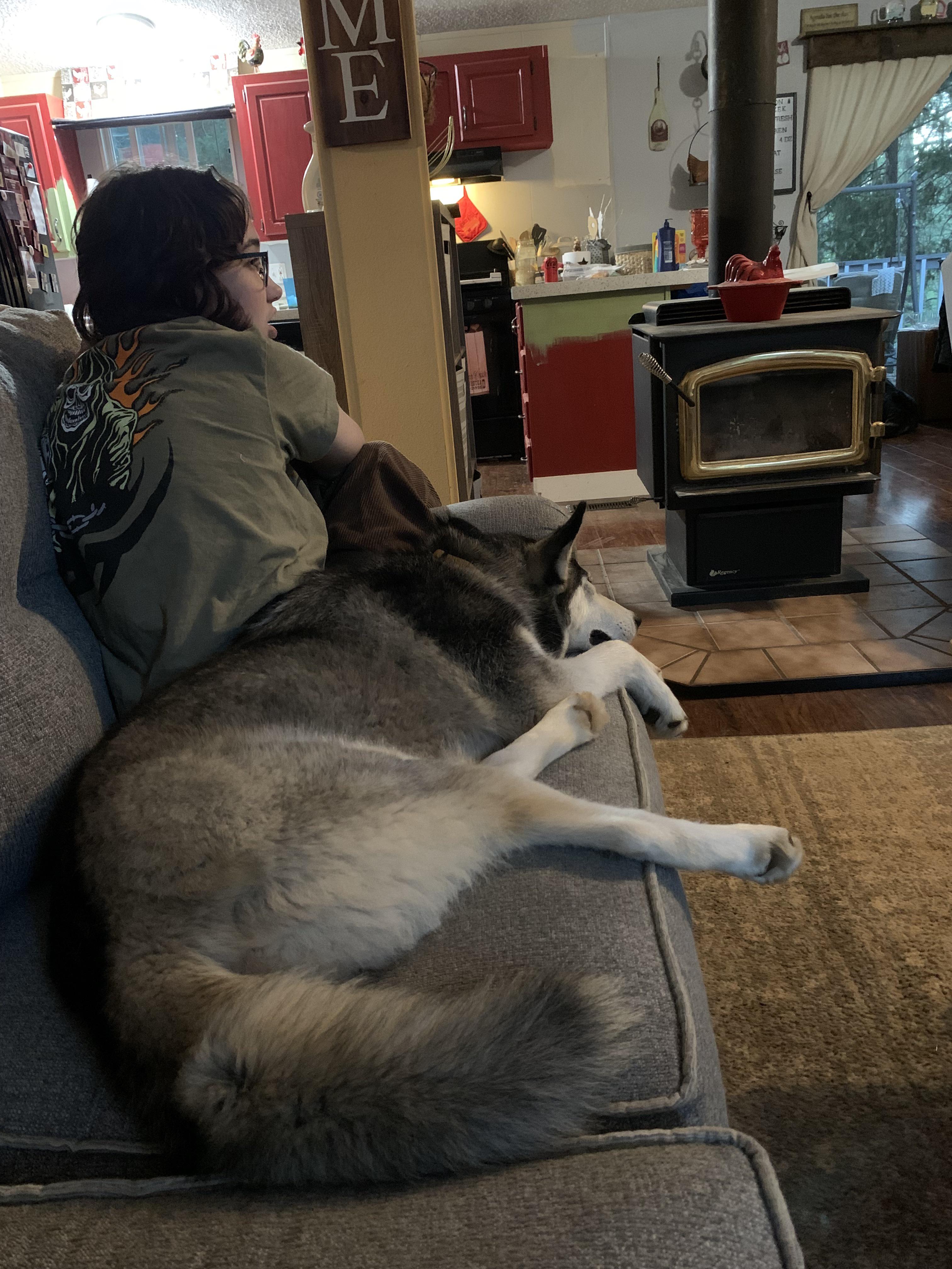 Ember settles in | Scrolller