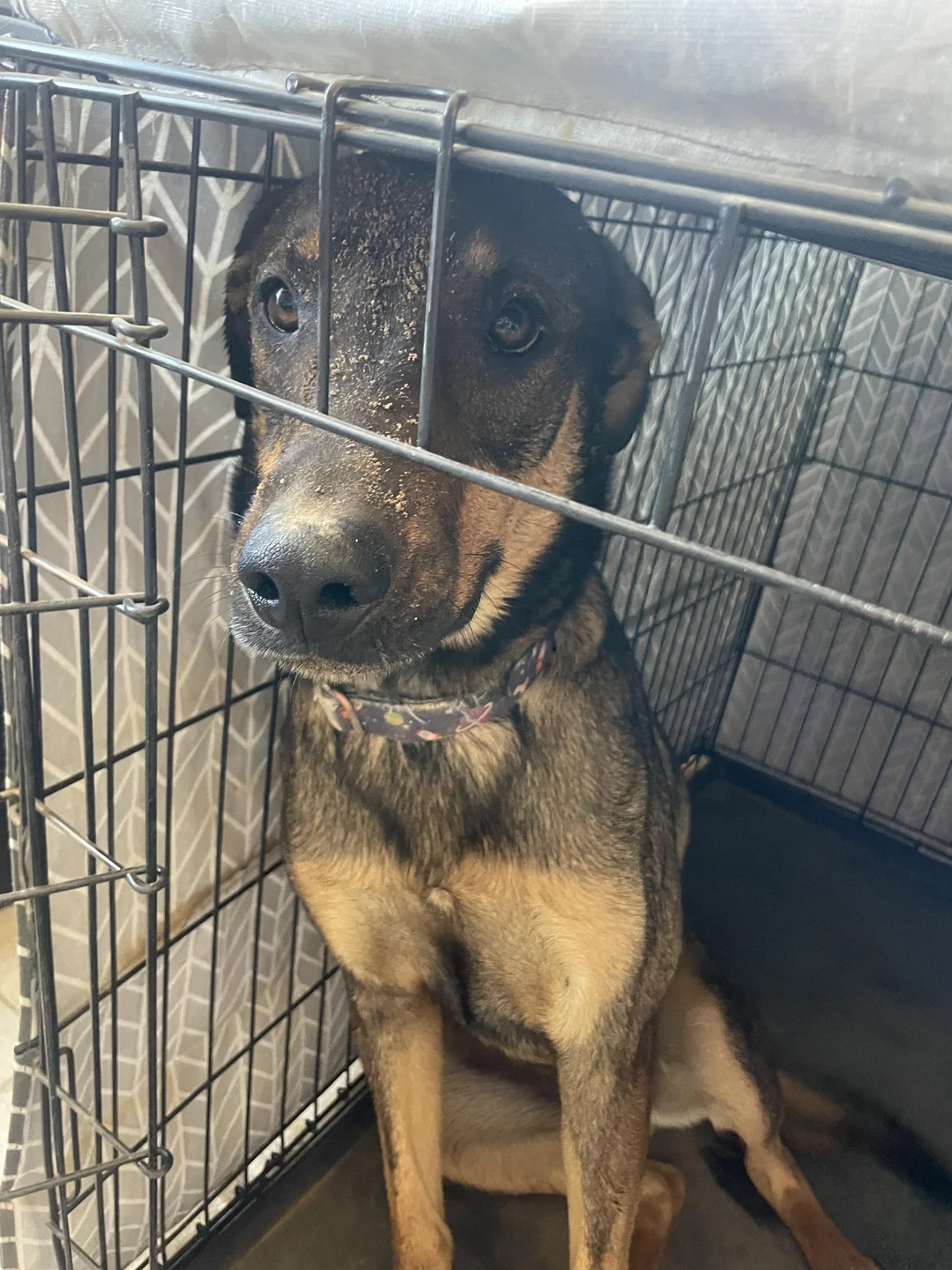 Who doesn't love a morning mud bath | Scrolller