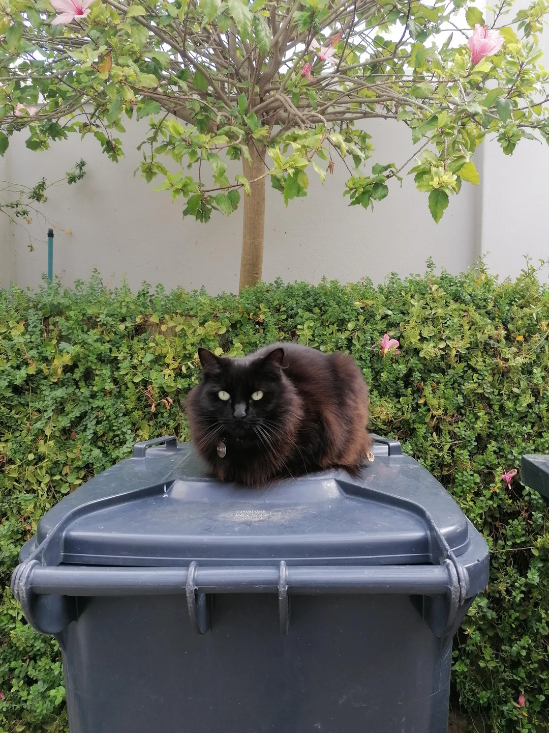 void of a loaf on the garbage bin | Scrolller