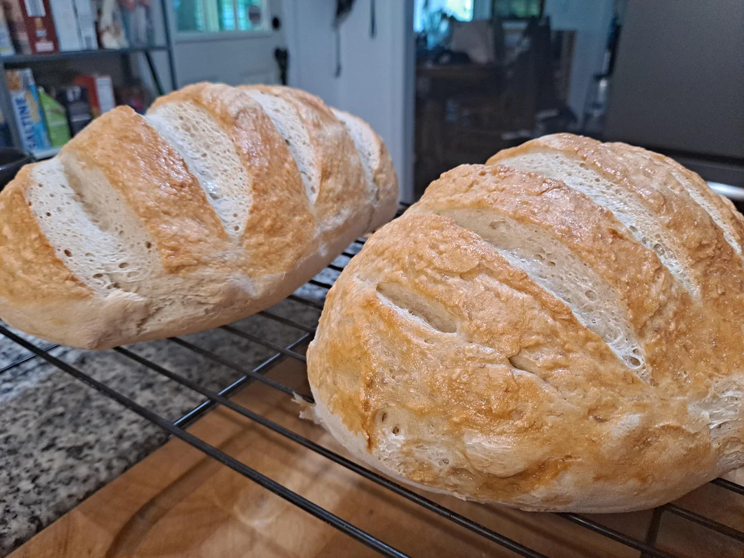 Sourdough French peasant bread | Scrolller