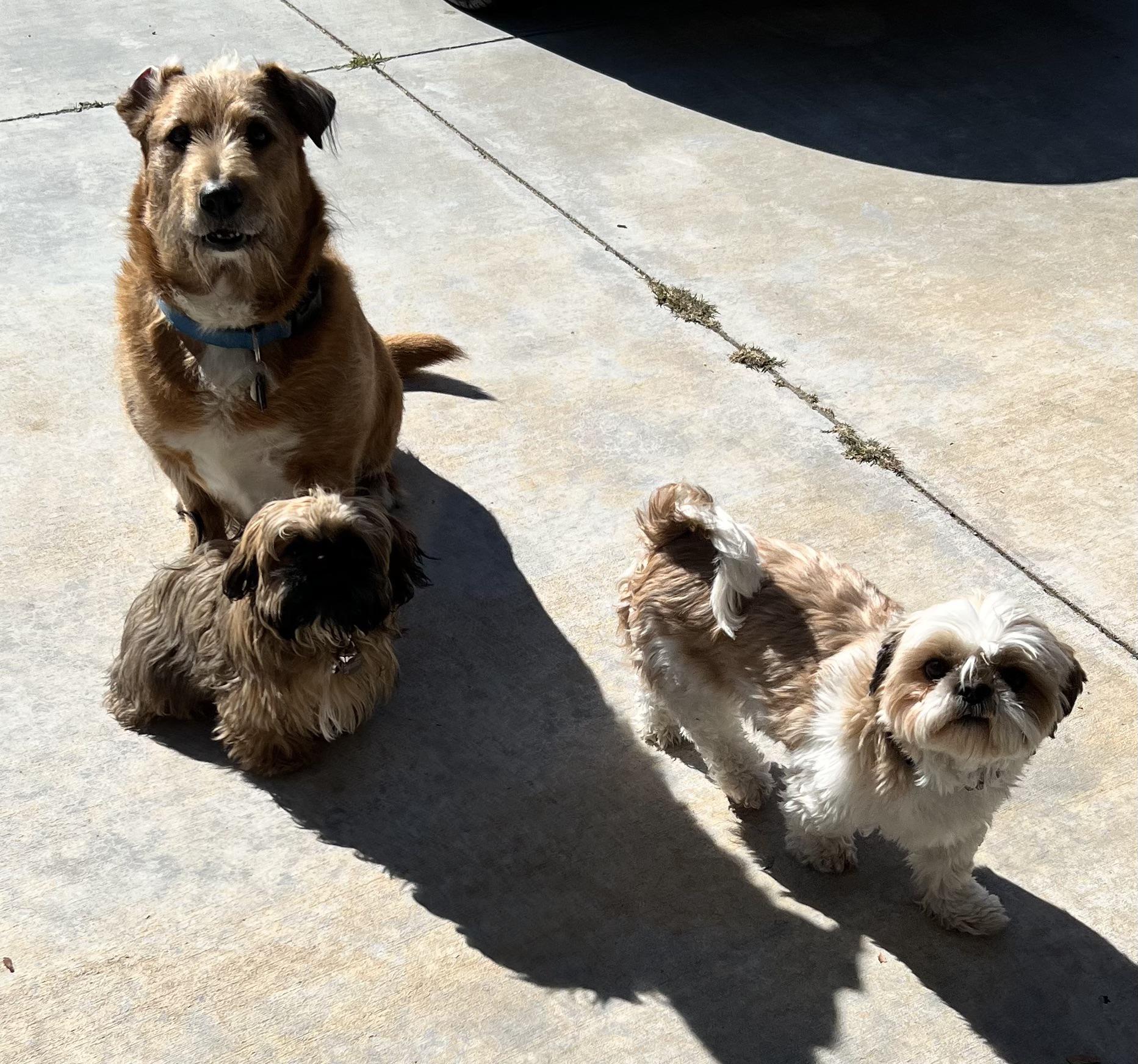 My Crew… | Scrolller