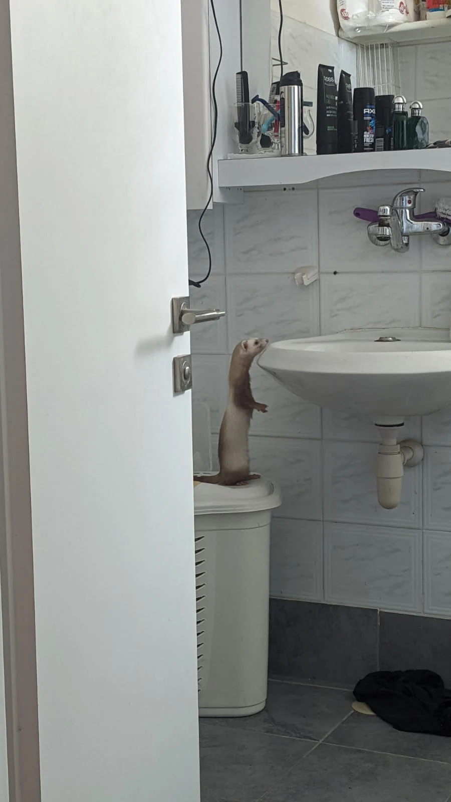 who hid her toothpaste she just woke up | Scrolller