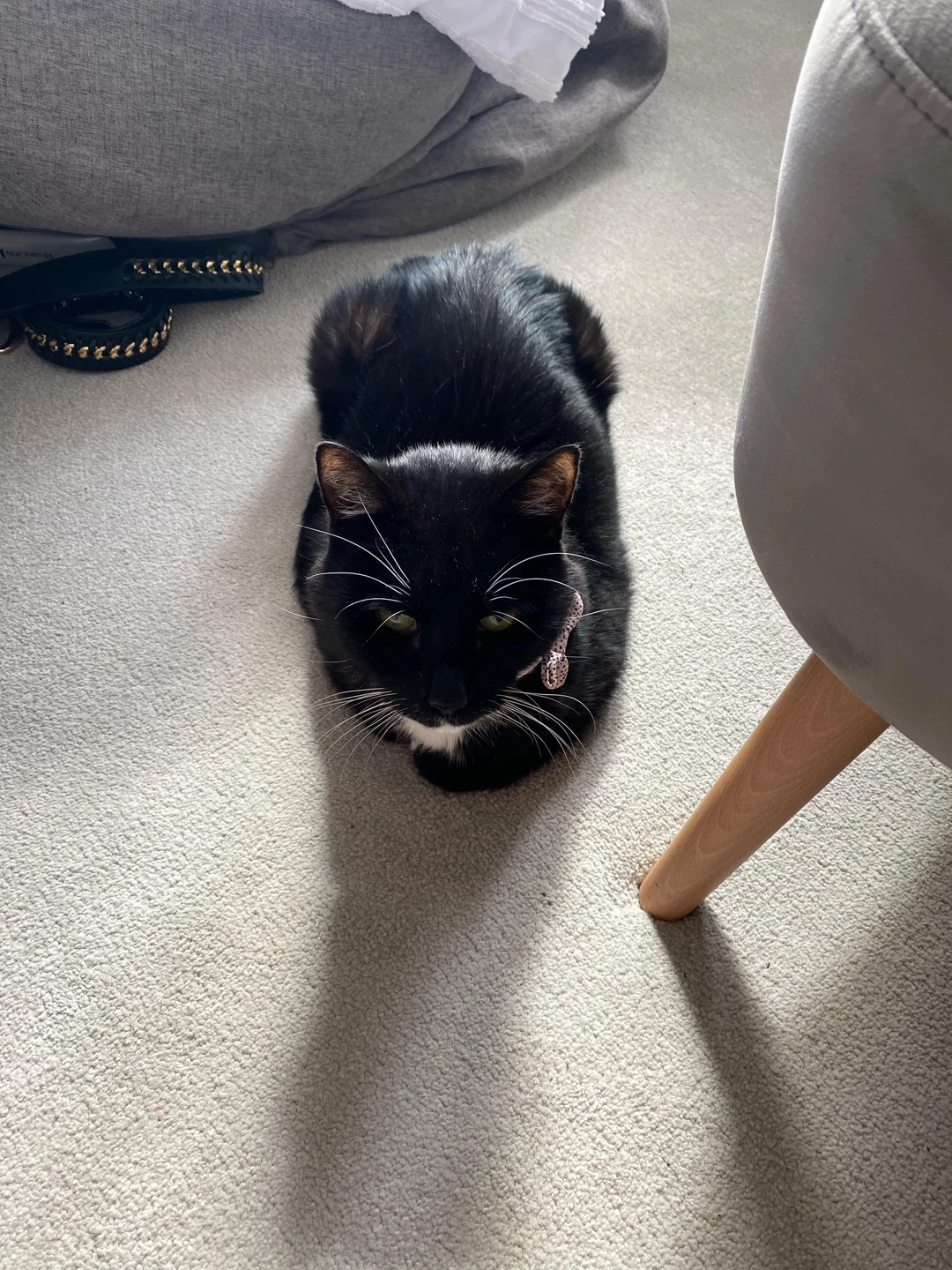 Loaf out of 10 | Scrolller
