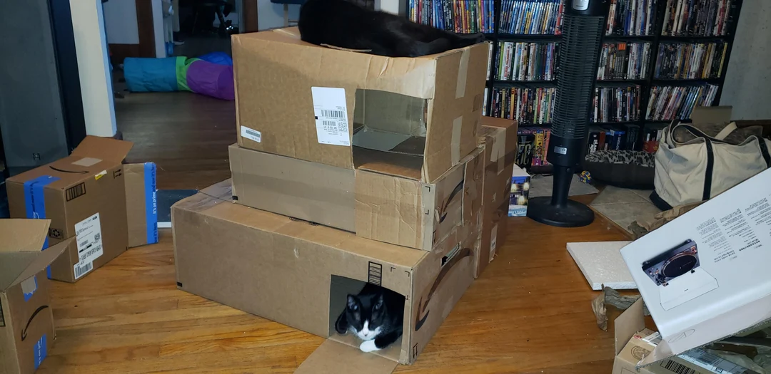 Box fort! | Scrolller
