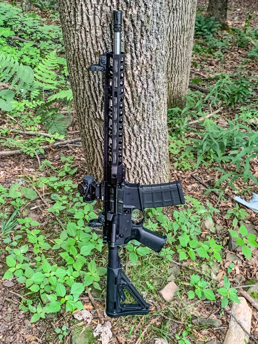Finally got my first AR-15 and decided to build it instead of just buying one so here's my ...