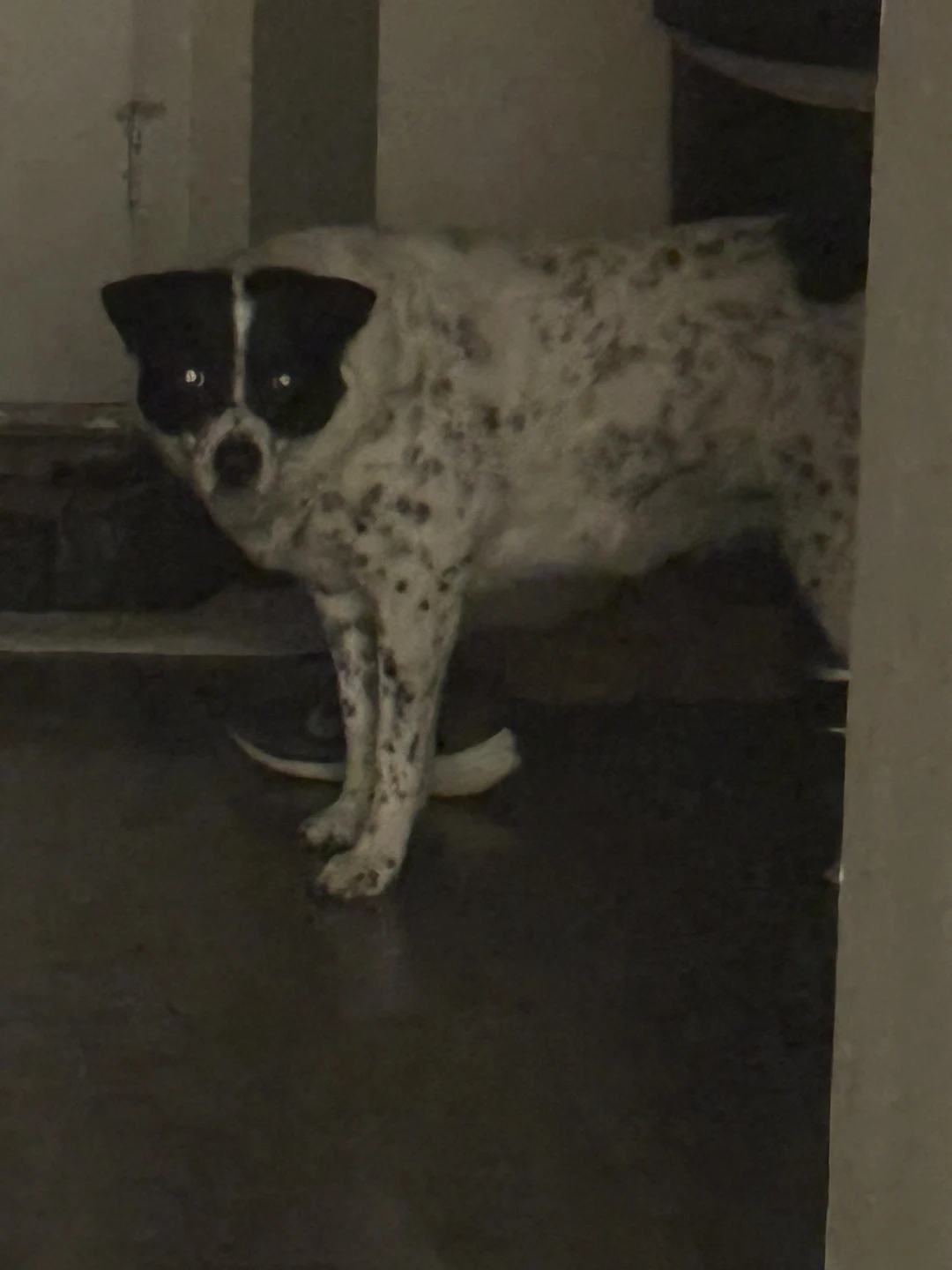 She loves to lurk in the darkness | Scrolller