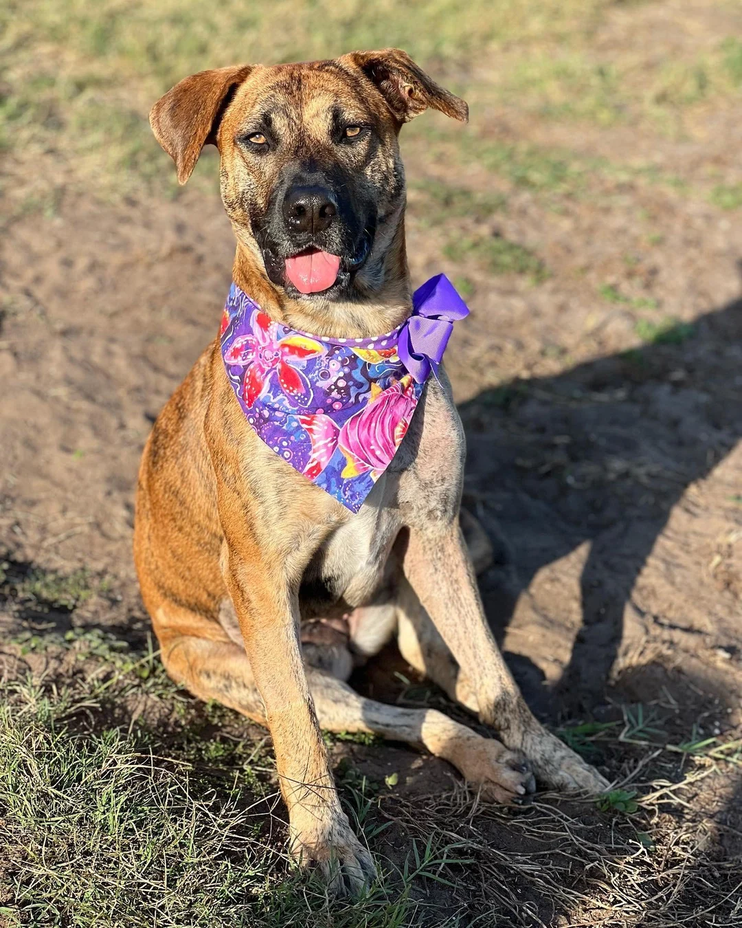 Head empty | Scrolller