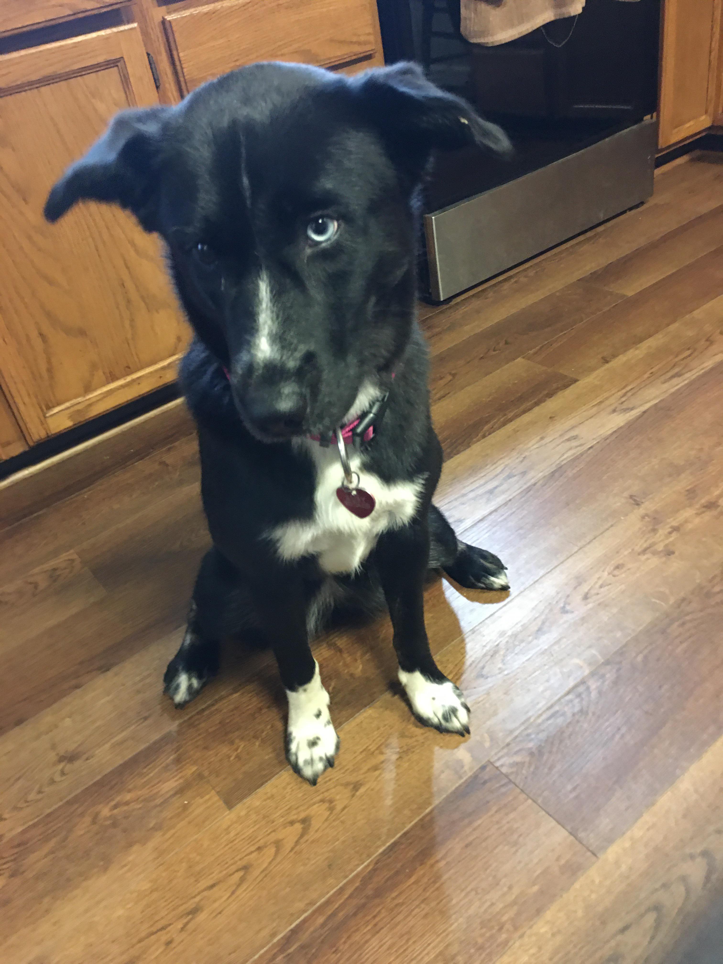 This is Ruby | Scrolller