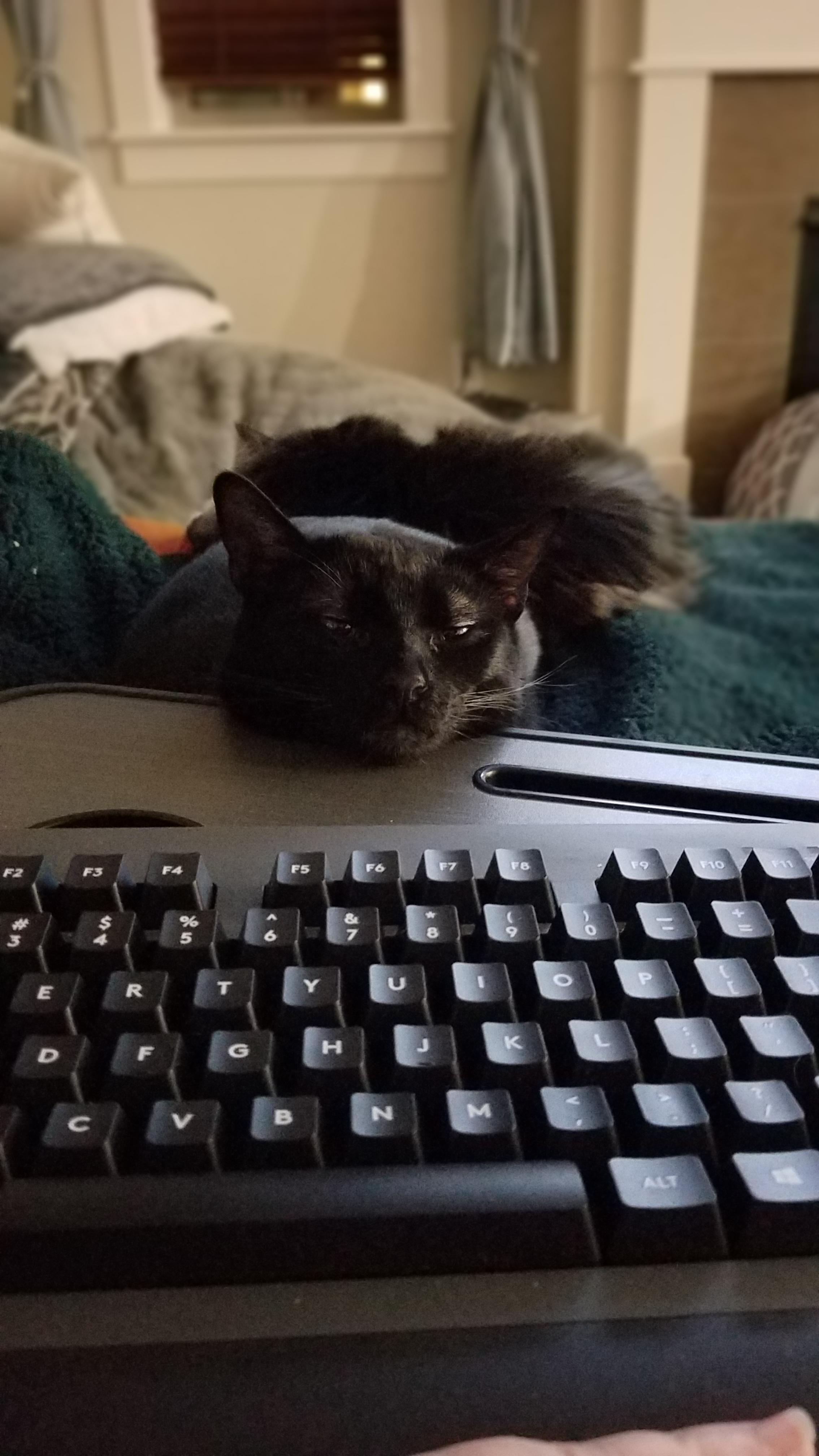 Sleepy void | Scrolller