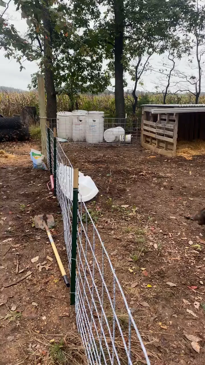 Weekend Project | Scrolller