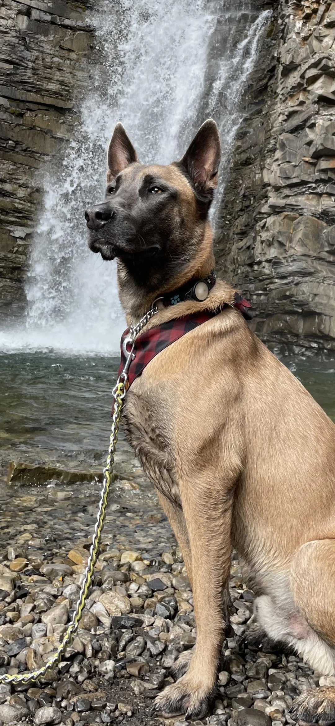 Protector of the Falls | Scrolller