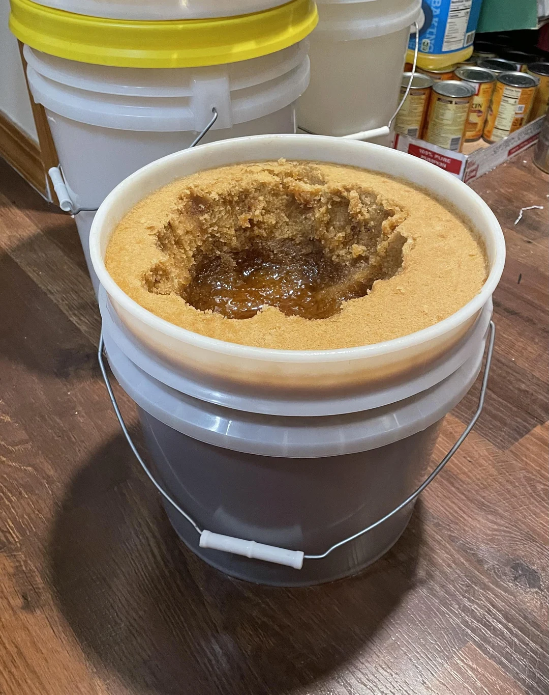 honey bucket | Scrolller