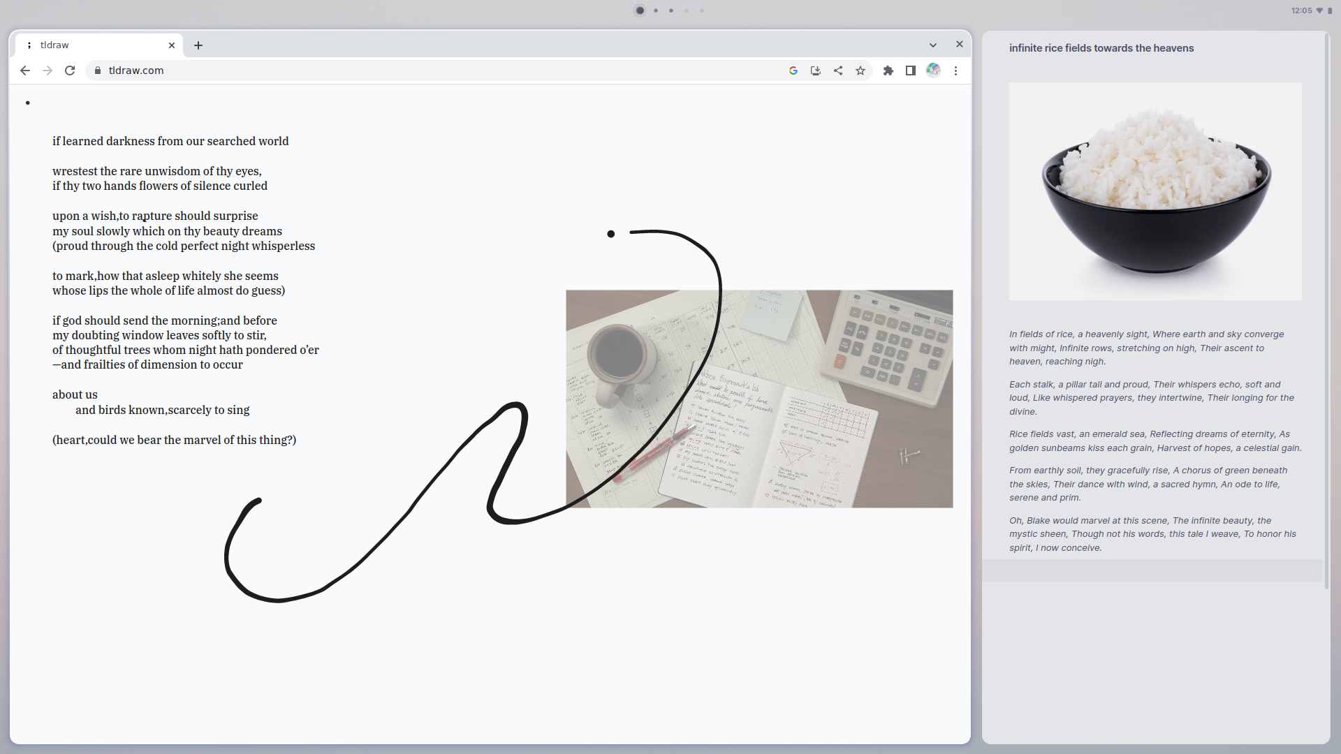 Light rice [Hyprland] | Scrolller