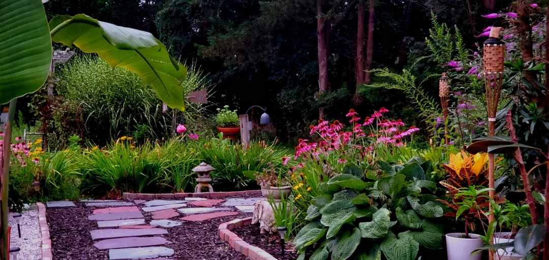 my cozy garden path | Scrolller