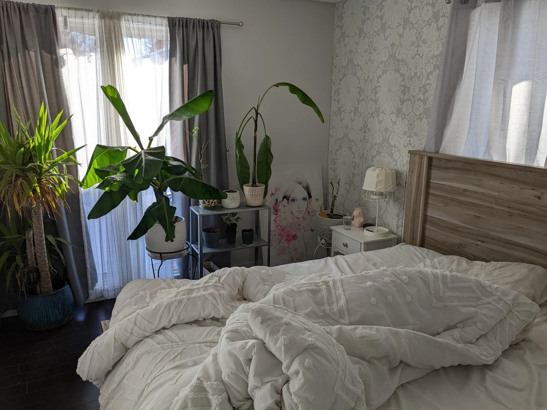 Love the daylight hitting my Yucca. | Scrolller