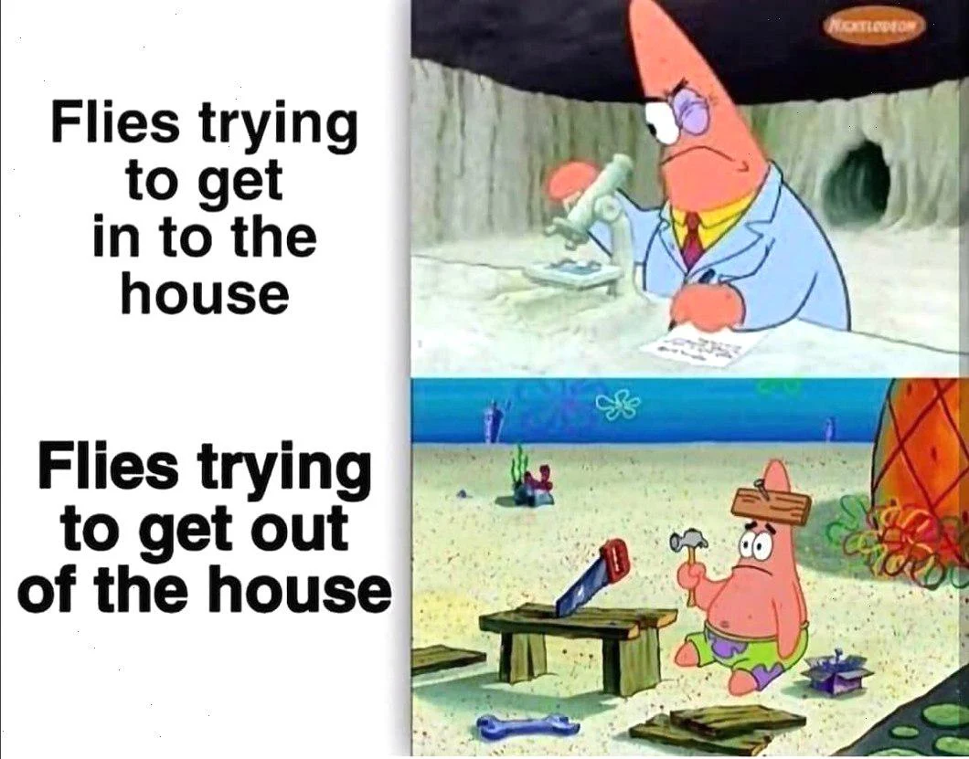 Death trap | Scrolller