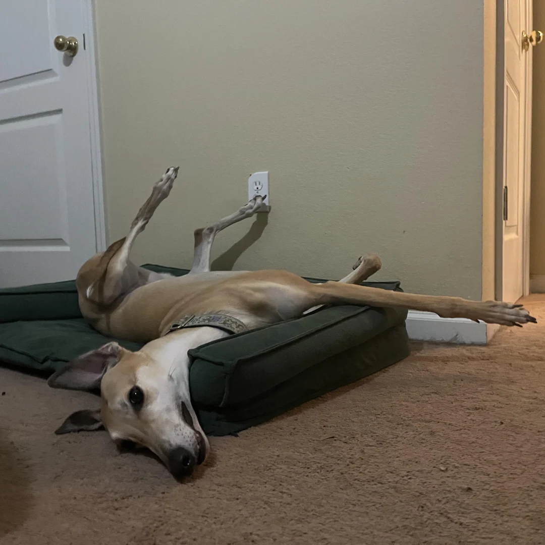 Assembly instructions unclear | Scrolller