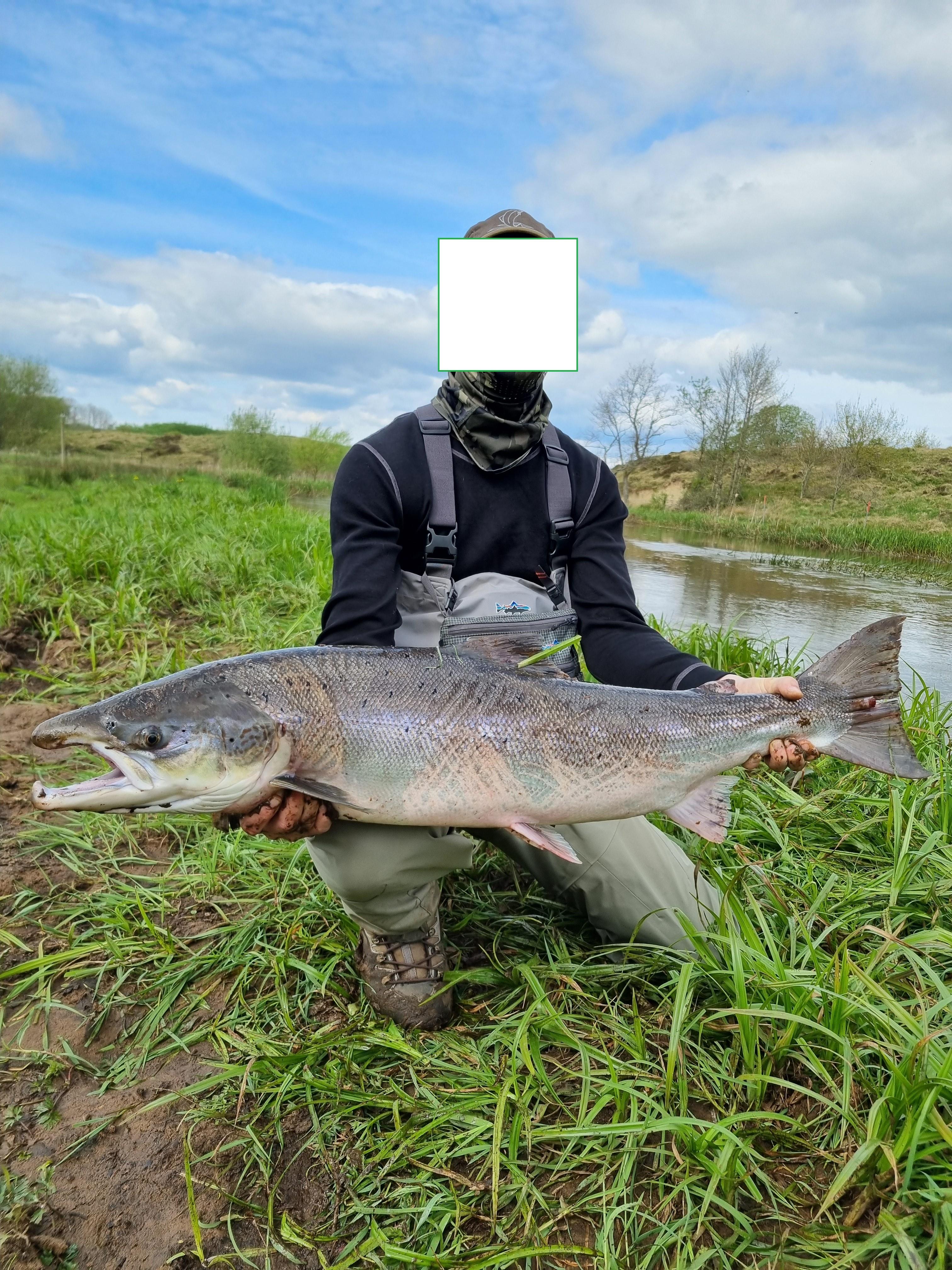 Salmon fishing in Varde - DK | Scrolller