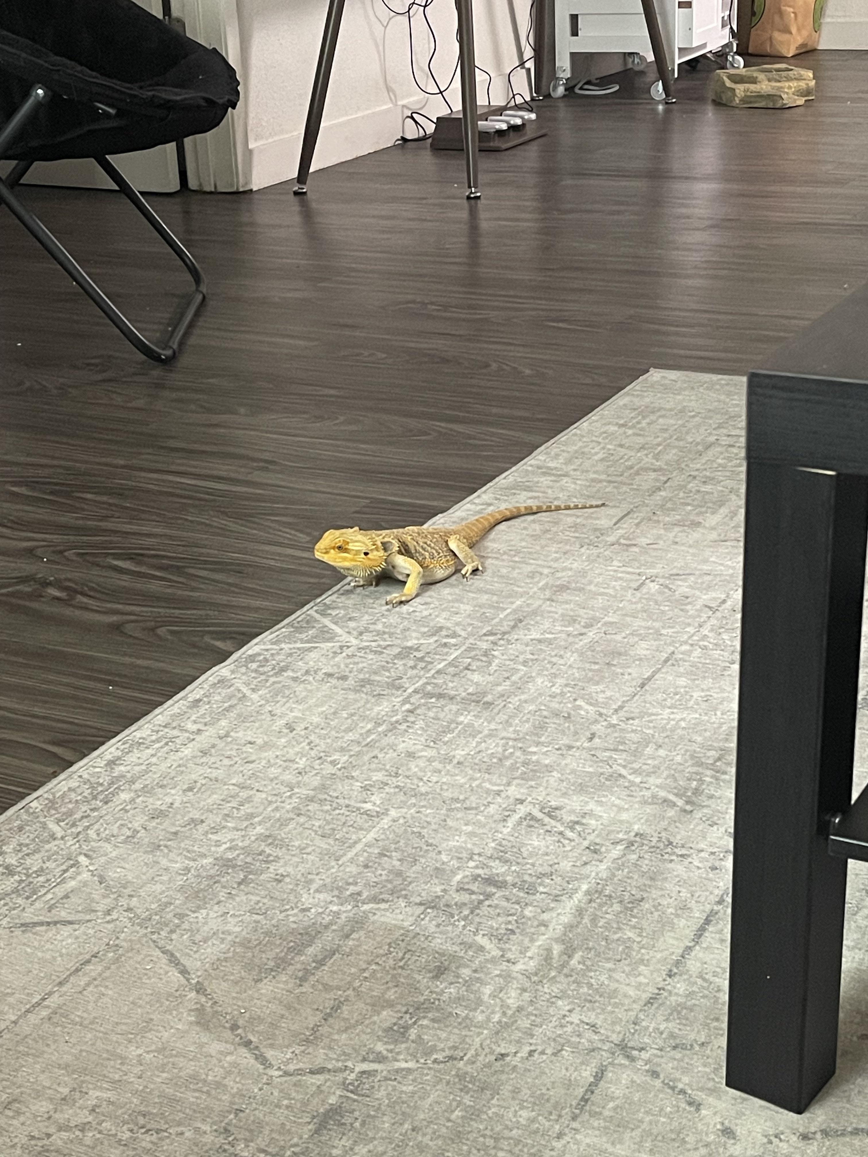 Run Around Contemplate Life | Scrolller