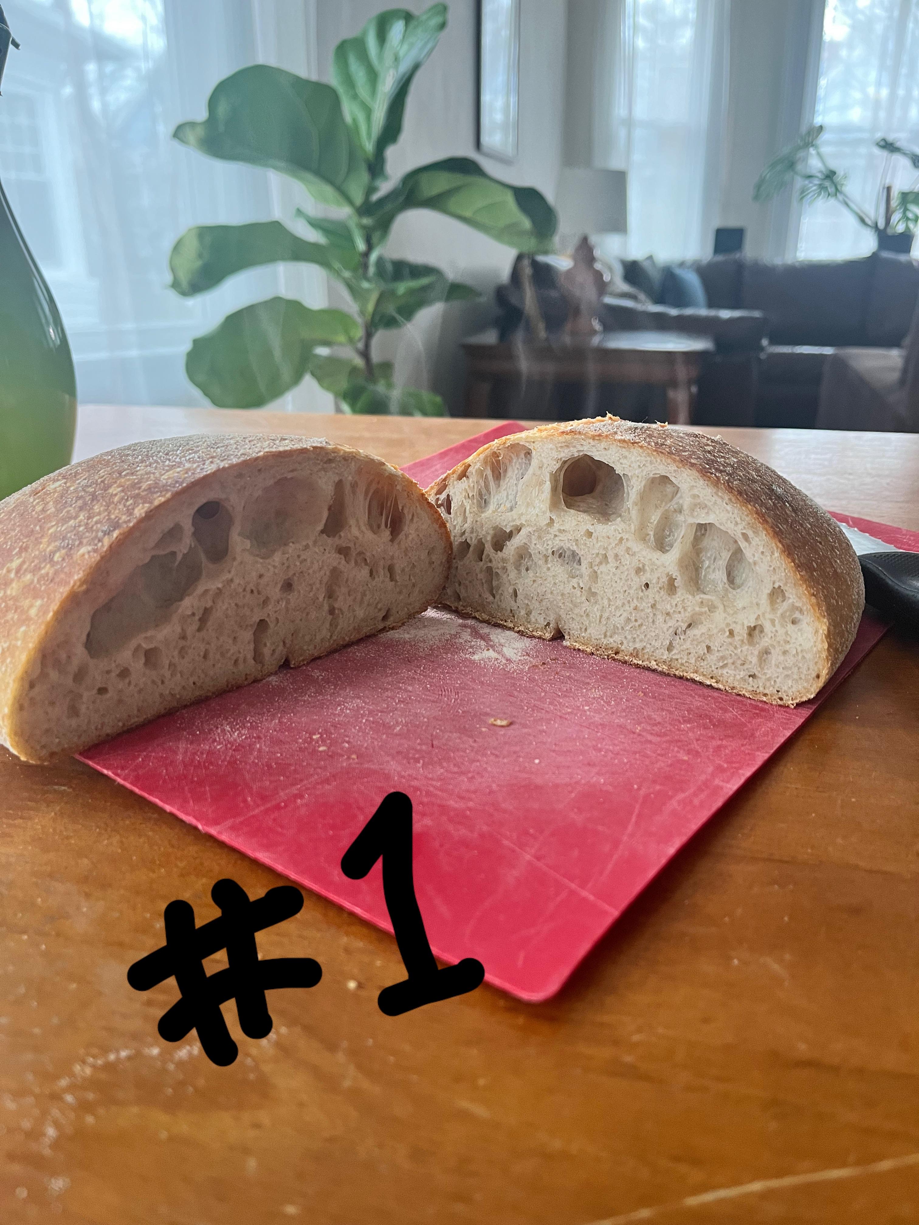 Please diagnose my loaves :) overproofed? Under? | Scrolller