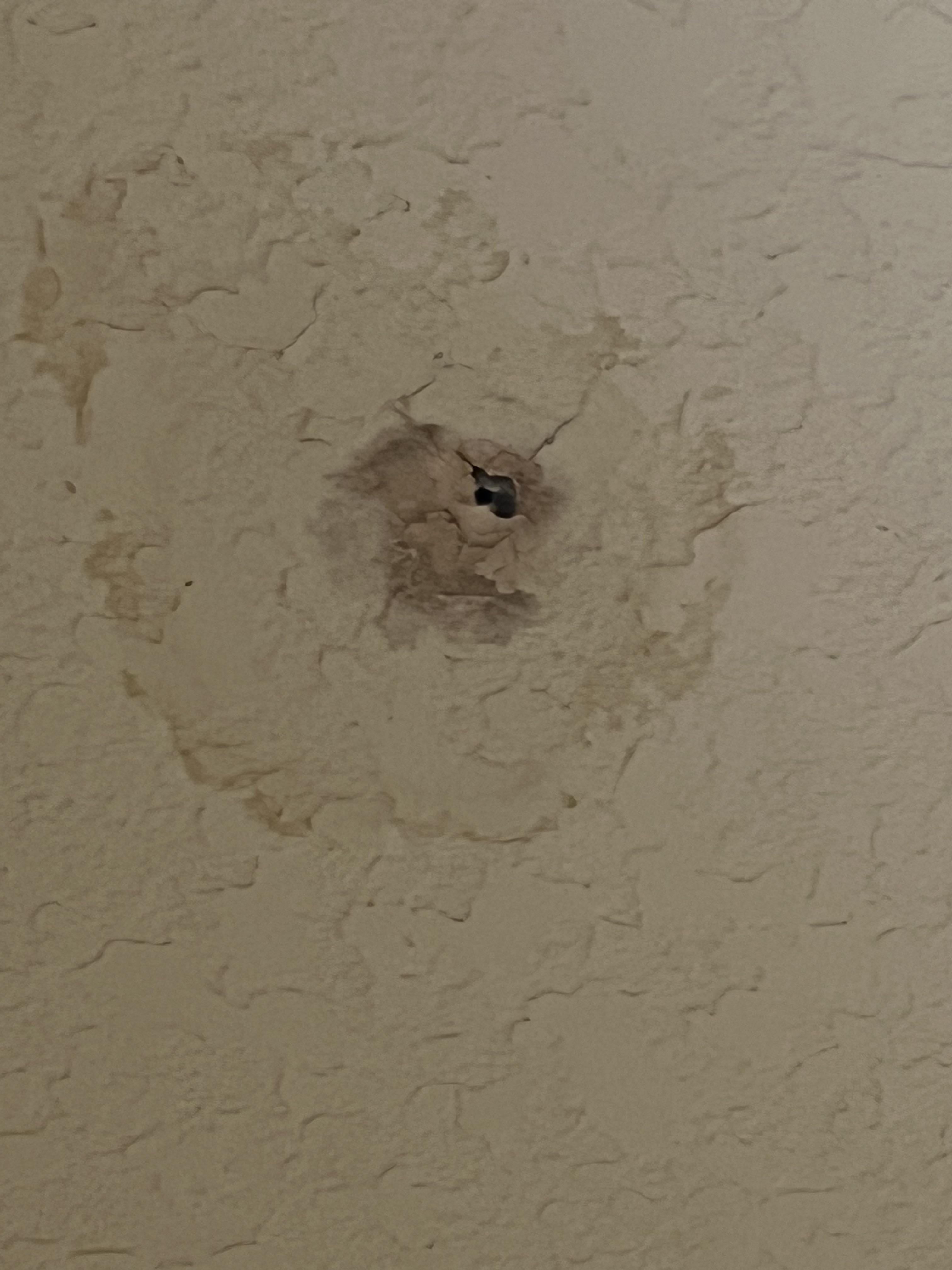Does anyone what is causing it? Hole in the basement ceiling! | Scrolller