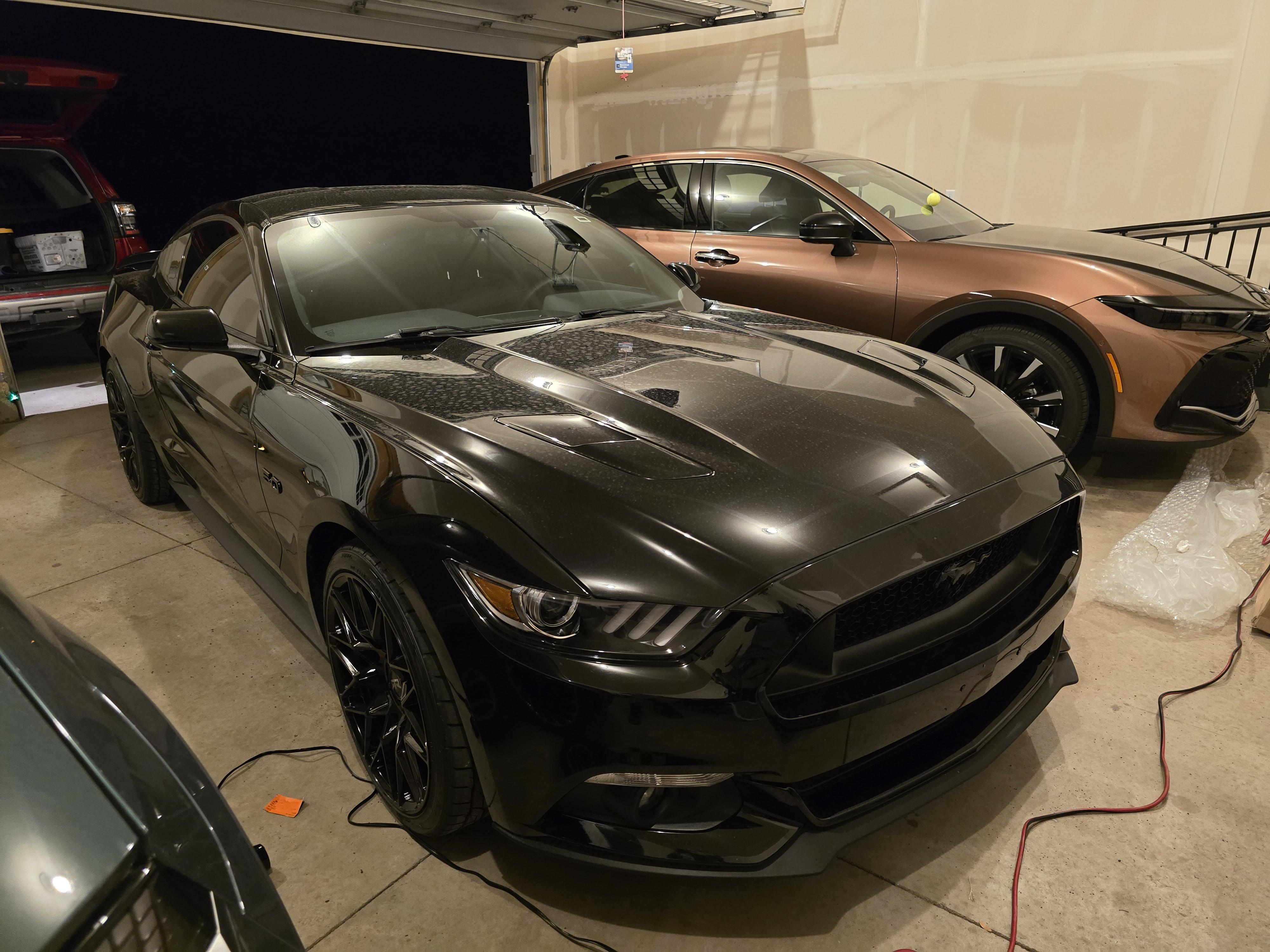 GT350 Spoiler and Black Emblems! | Scrolller