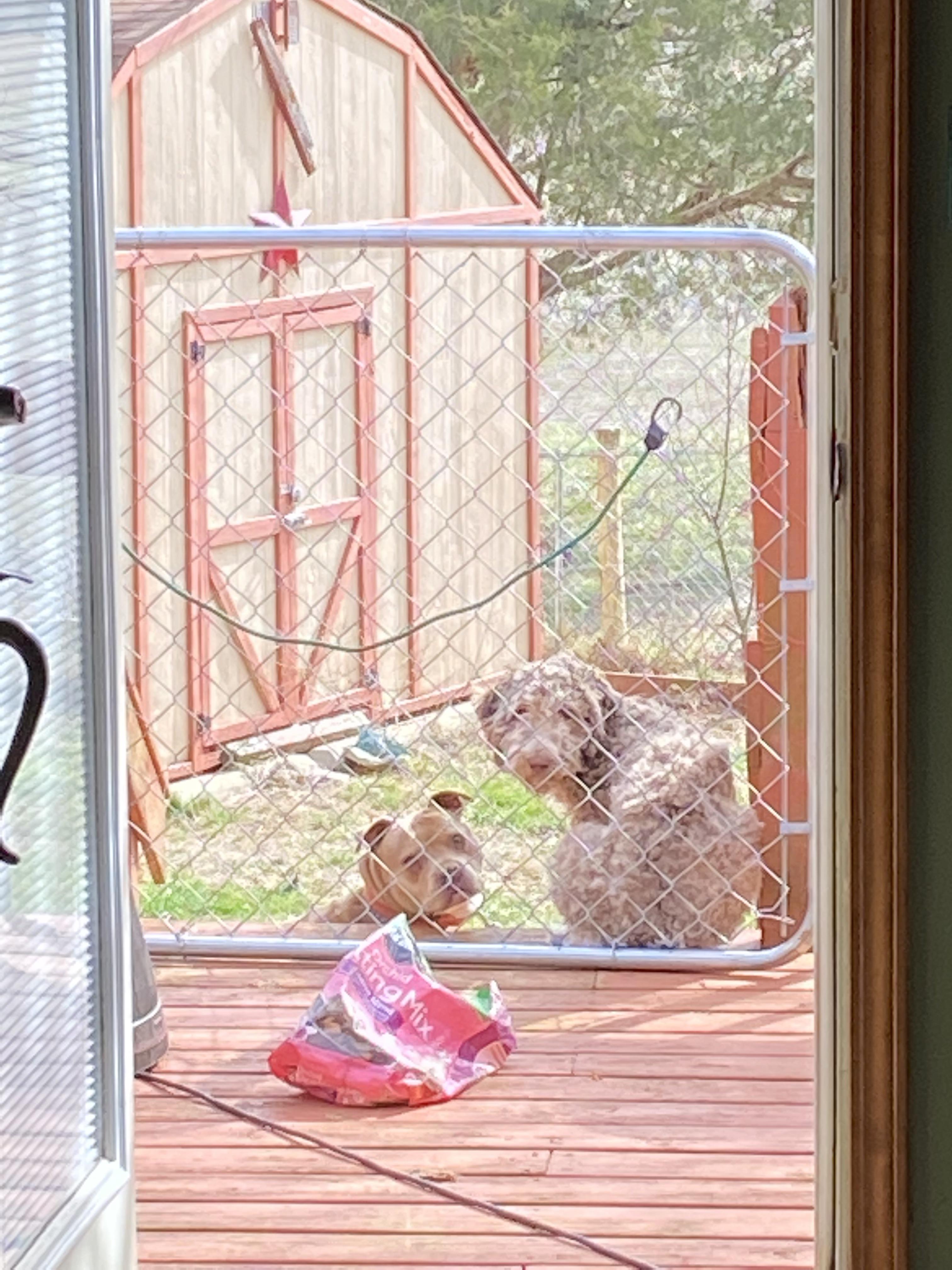 Stoop kids are afraid to leave the stoop | Scrolller