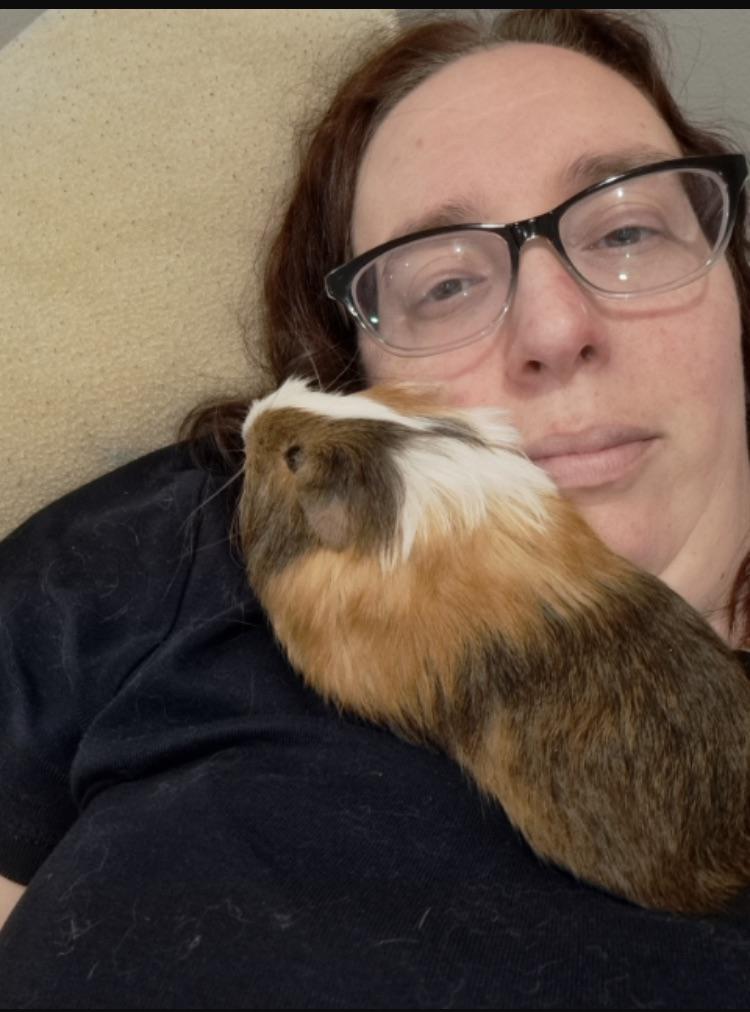 Our new piggie, comet!! 💫 | Scrolller