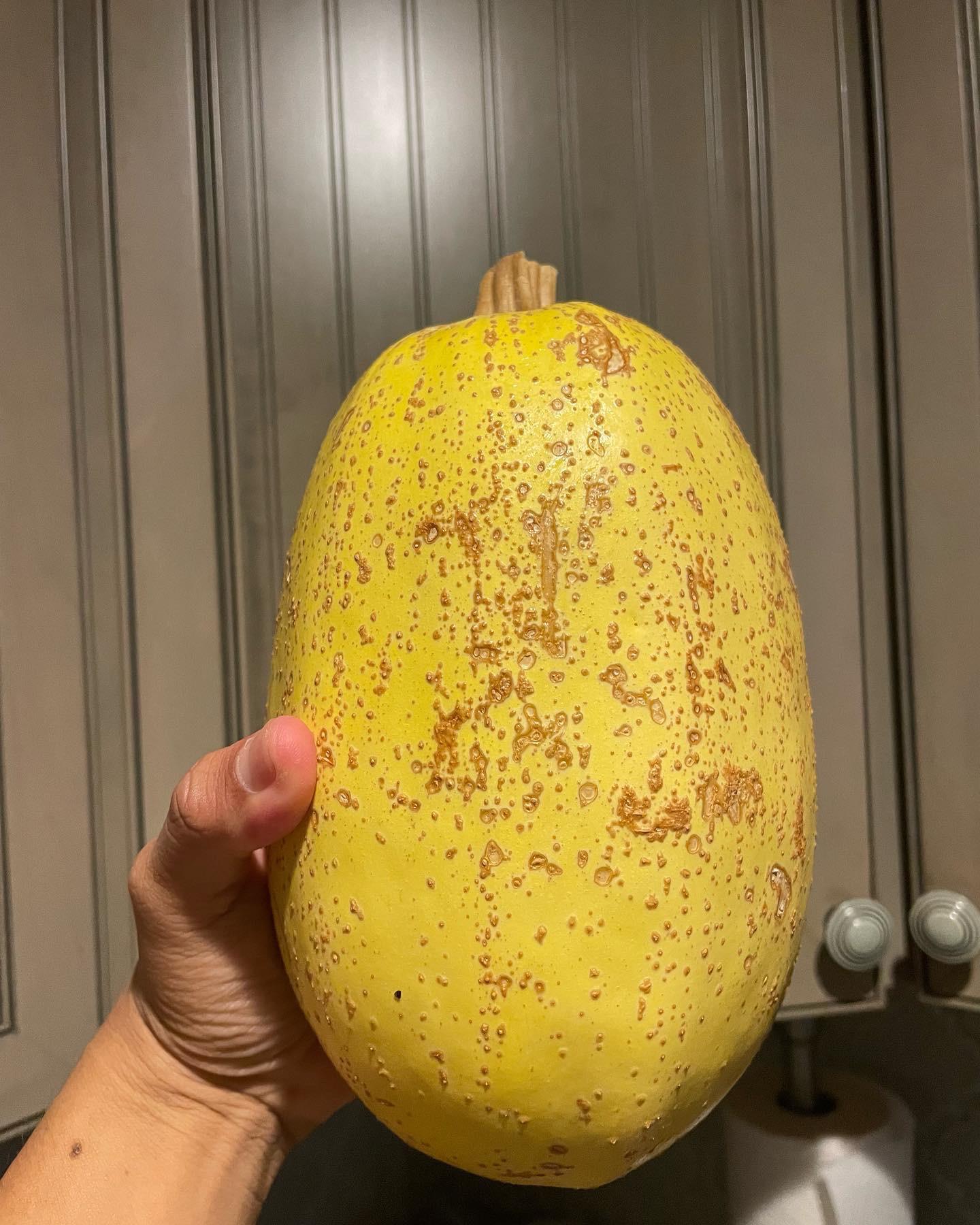 Spaghetti squash [homemade] | Scrolller
