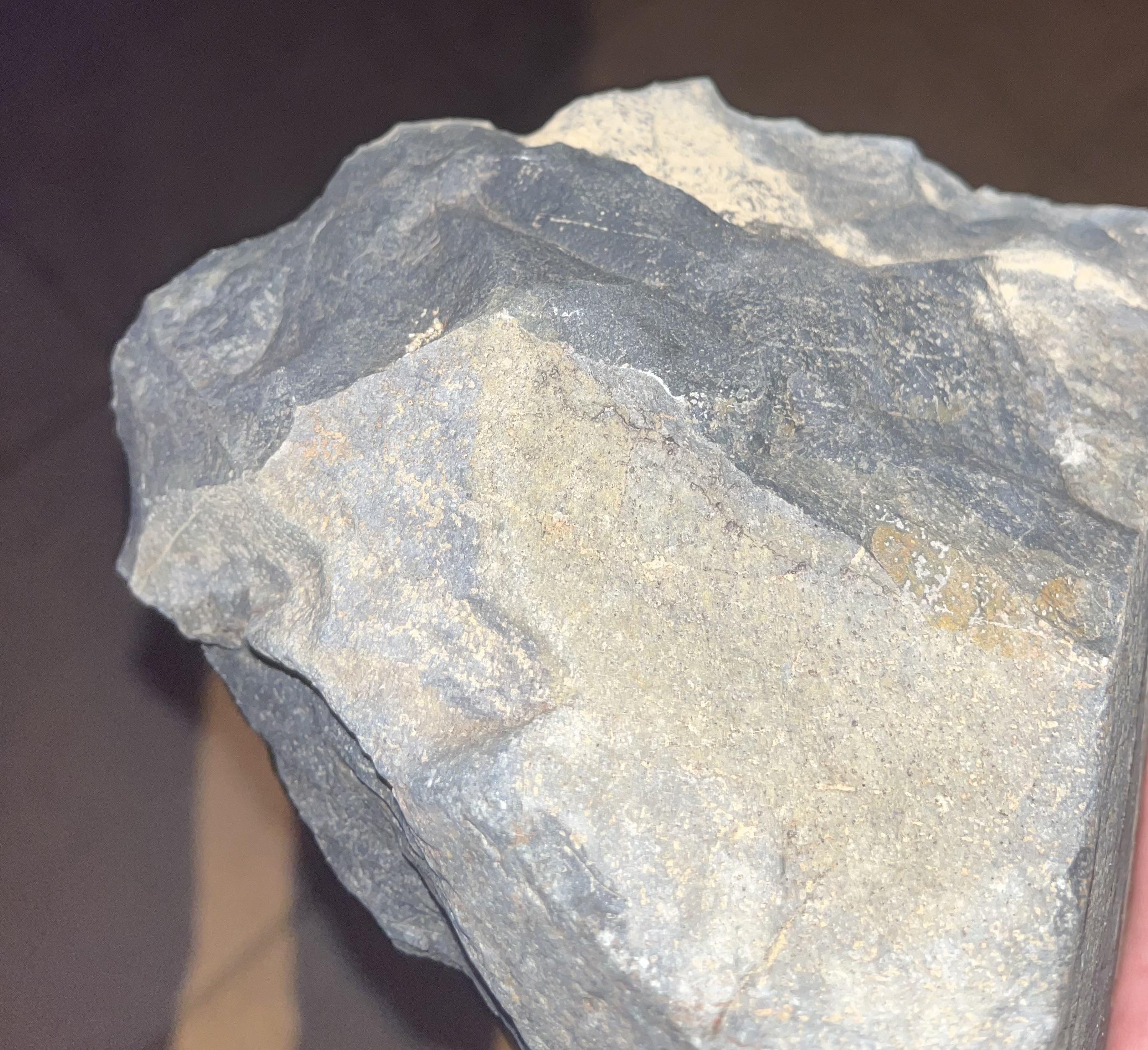 Is this a core? | Scrolller