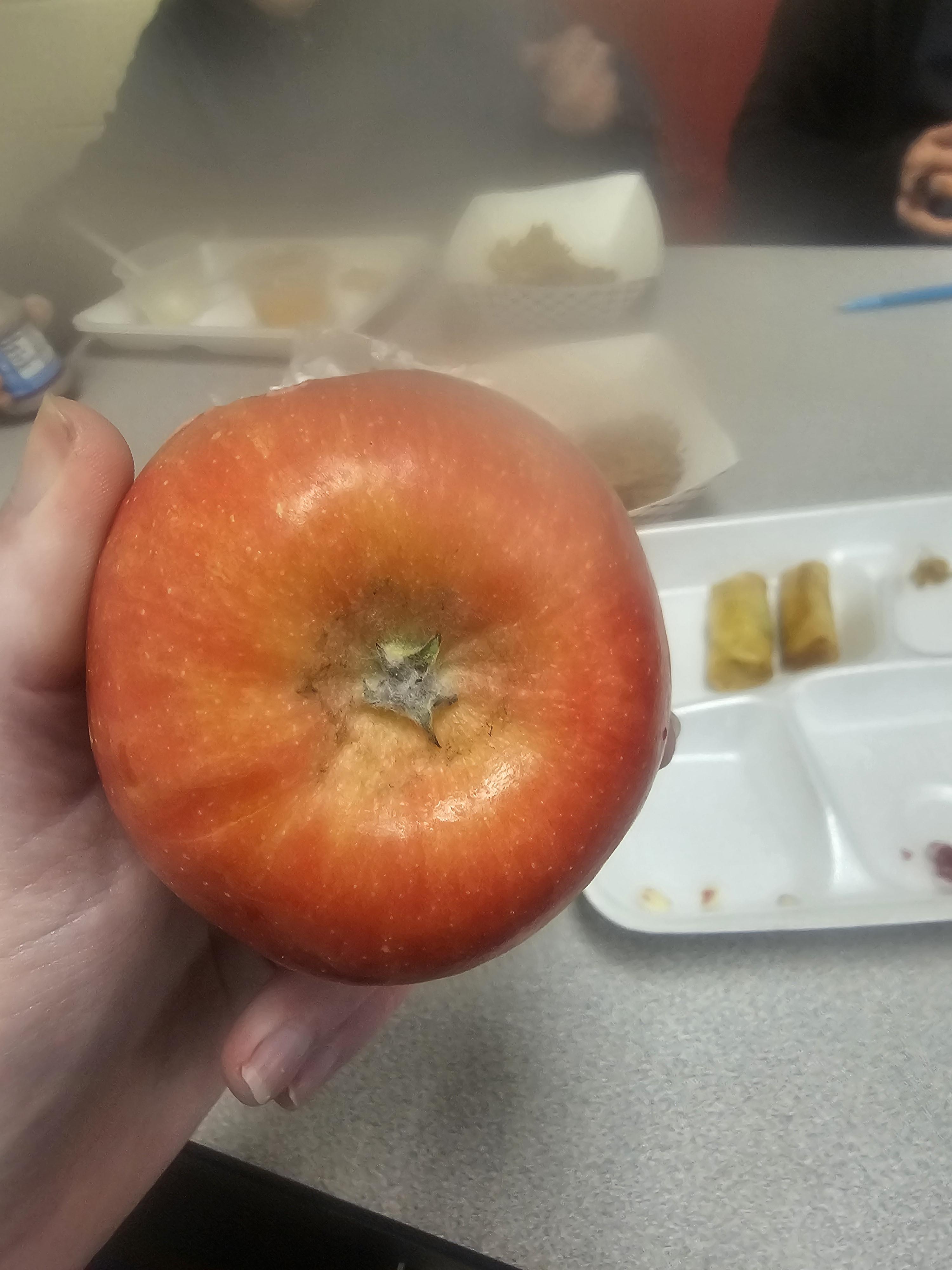 Throwback to the time my school gave me a rotten apple | Scrolller