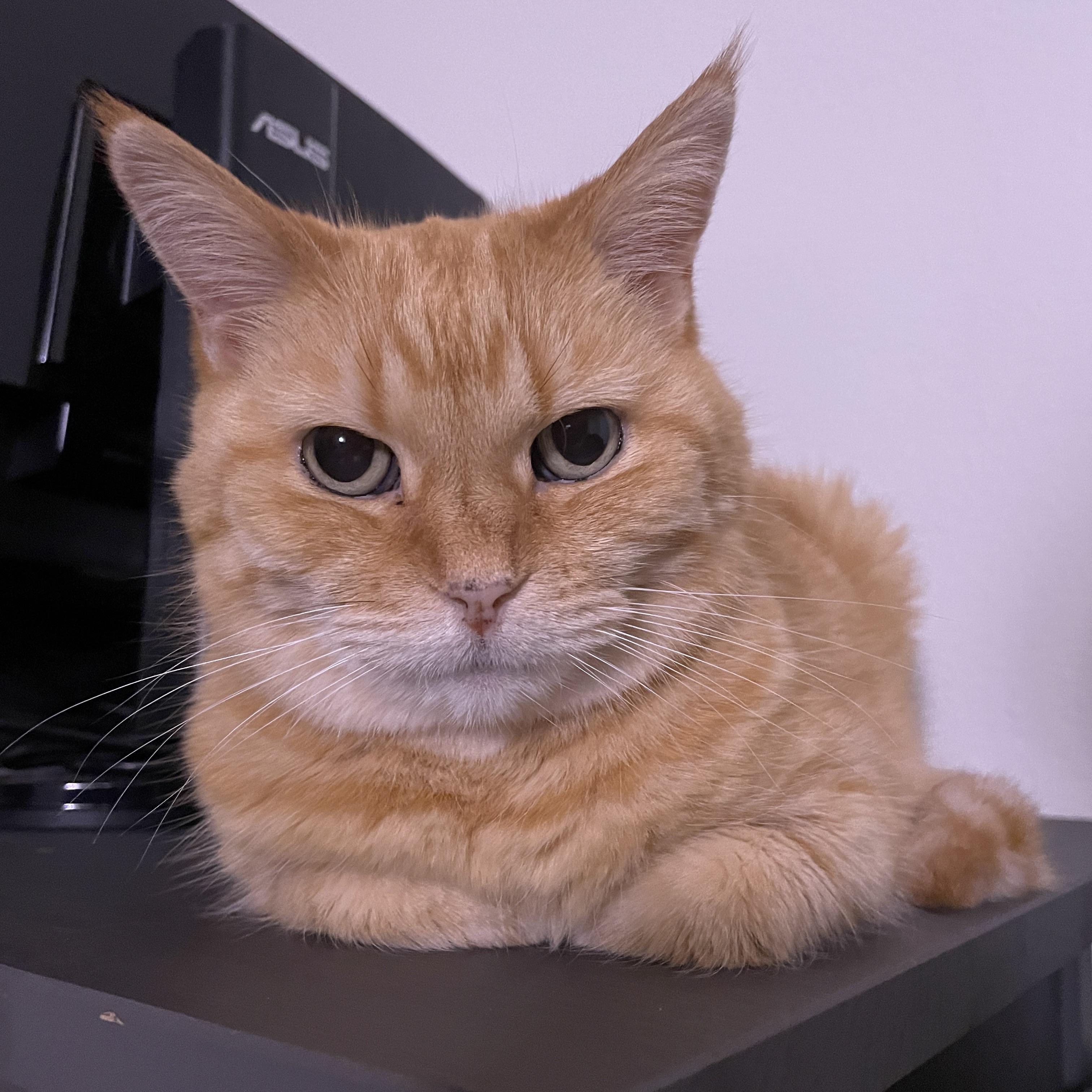 RBF Loaf [OC] | Scrolller